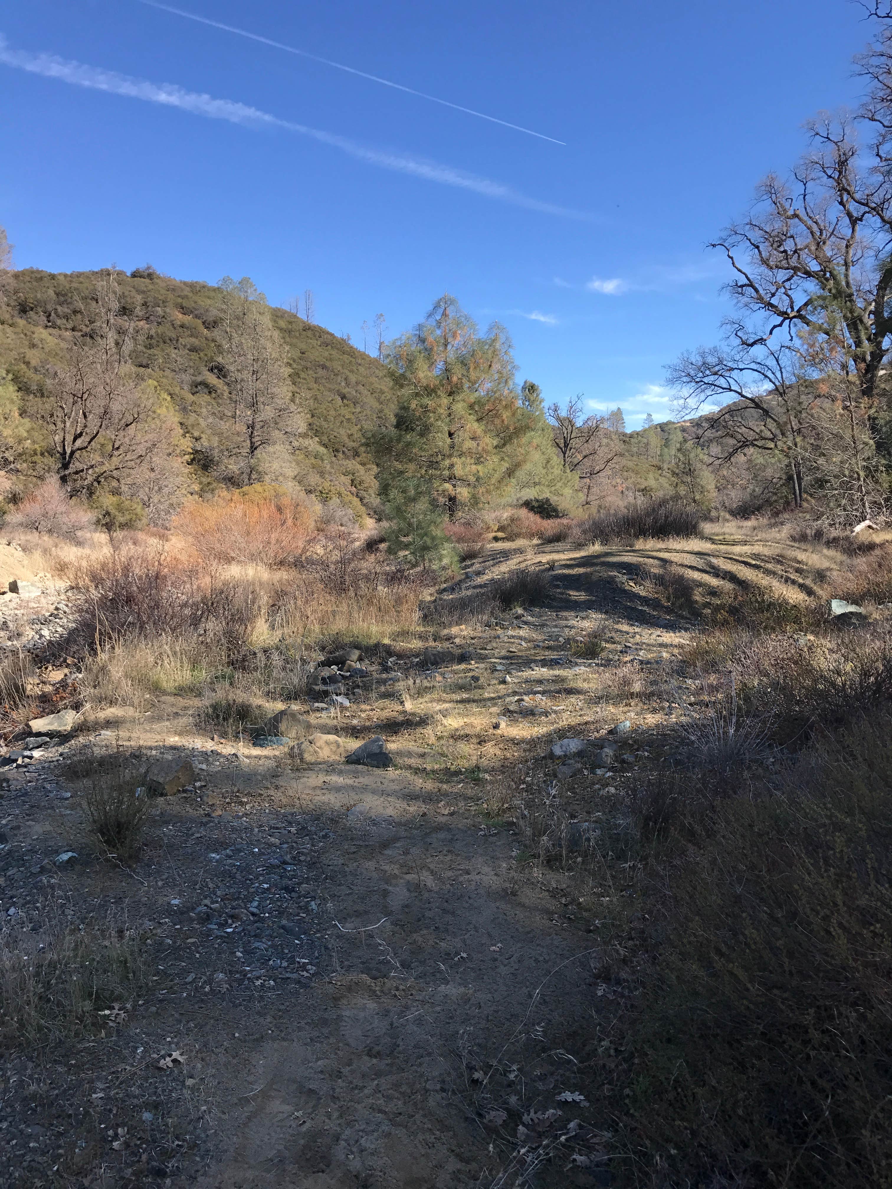 Laguna Mountain Campground | Paicines, CA