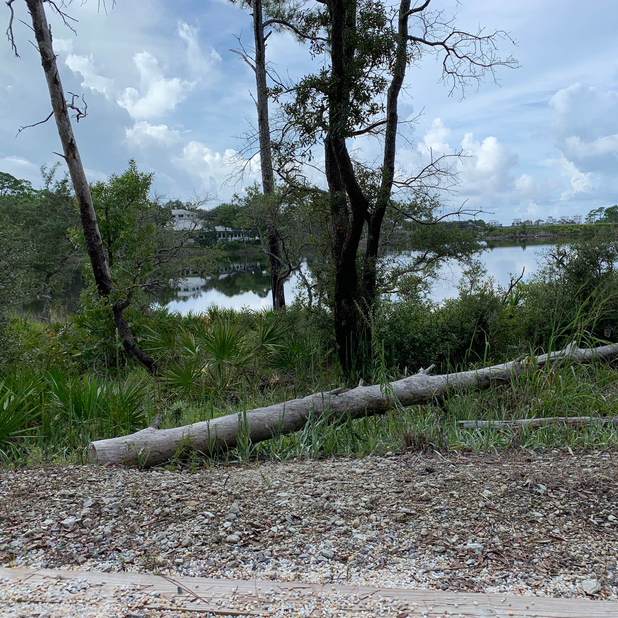 Point Washington Camping | The Dyrt