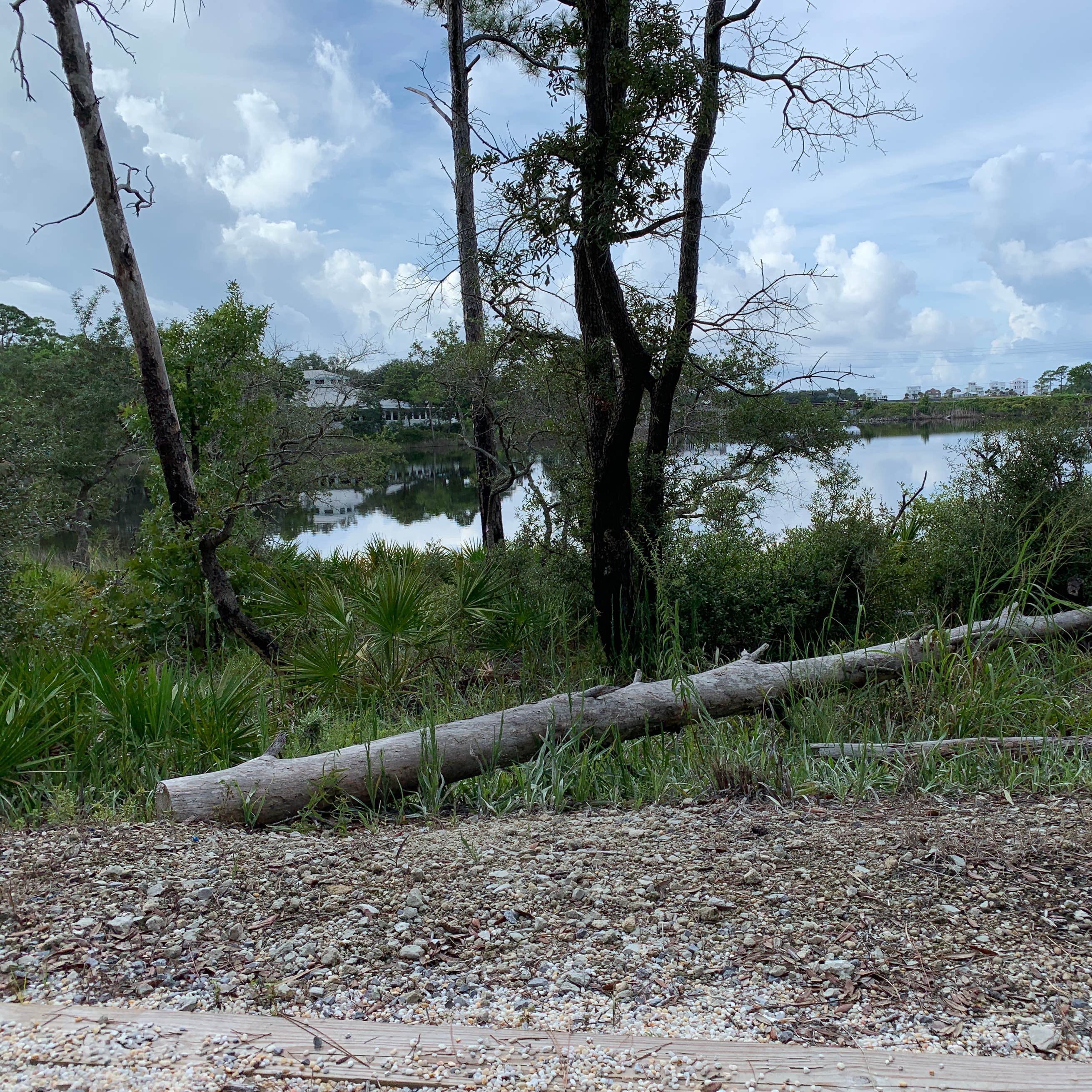 Point Washington Camping | The Dyrt