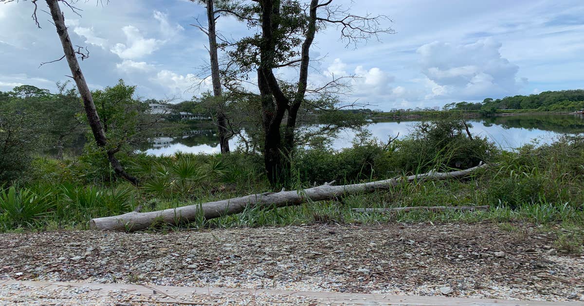 Eastern Lake Campground 2 — Point Washington State Forest | Inlet Beach ...