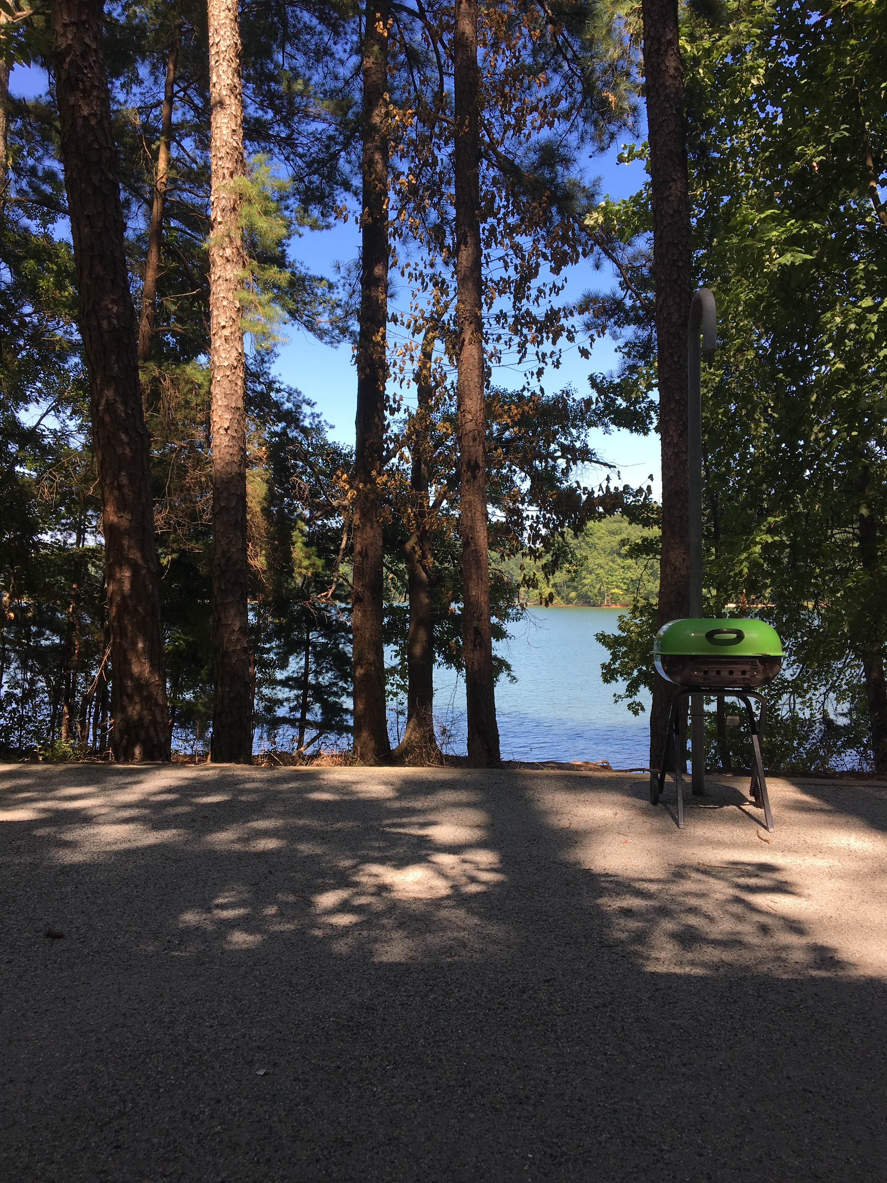 Bald Ridge Creek | The Dyrt