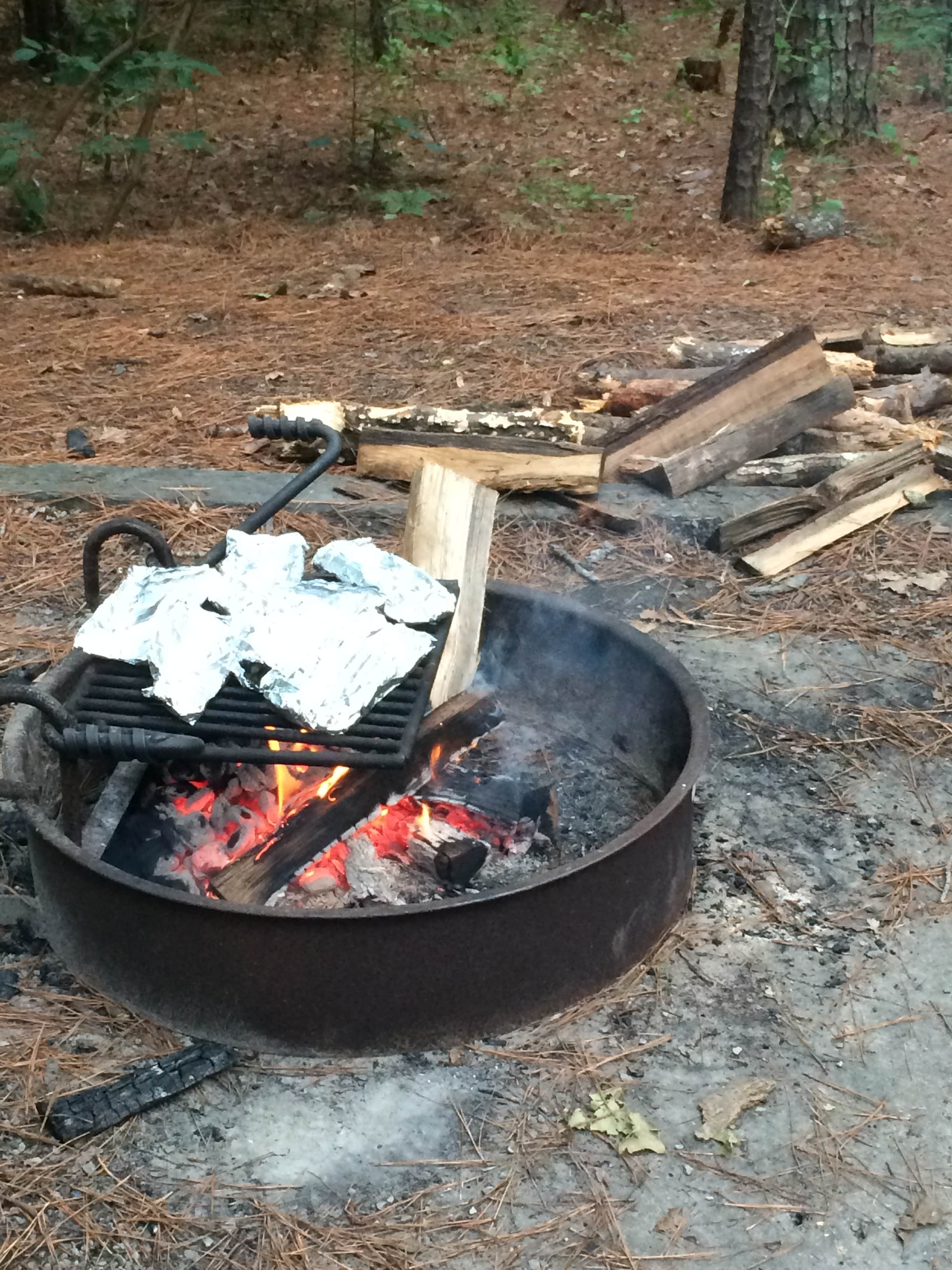 Poplar Point Campground — Jordan Lake State Recreation Area | New Hill ...