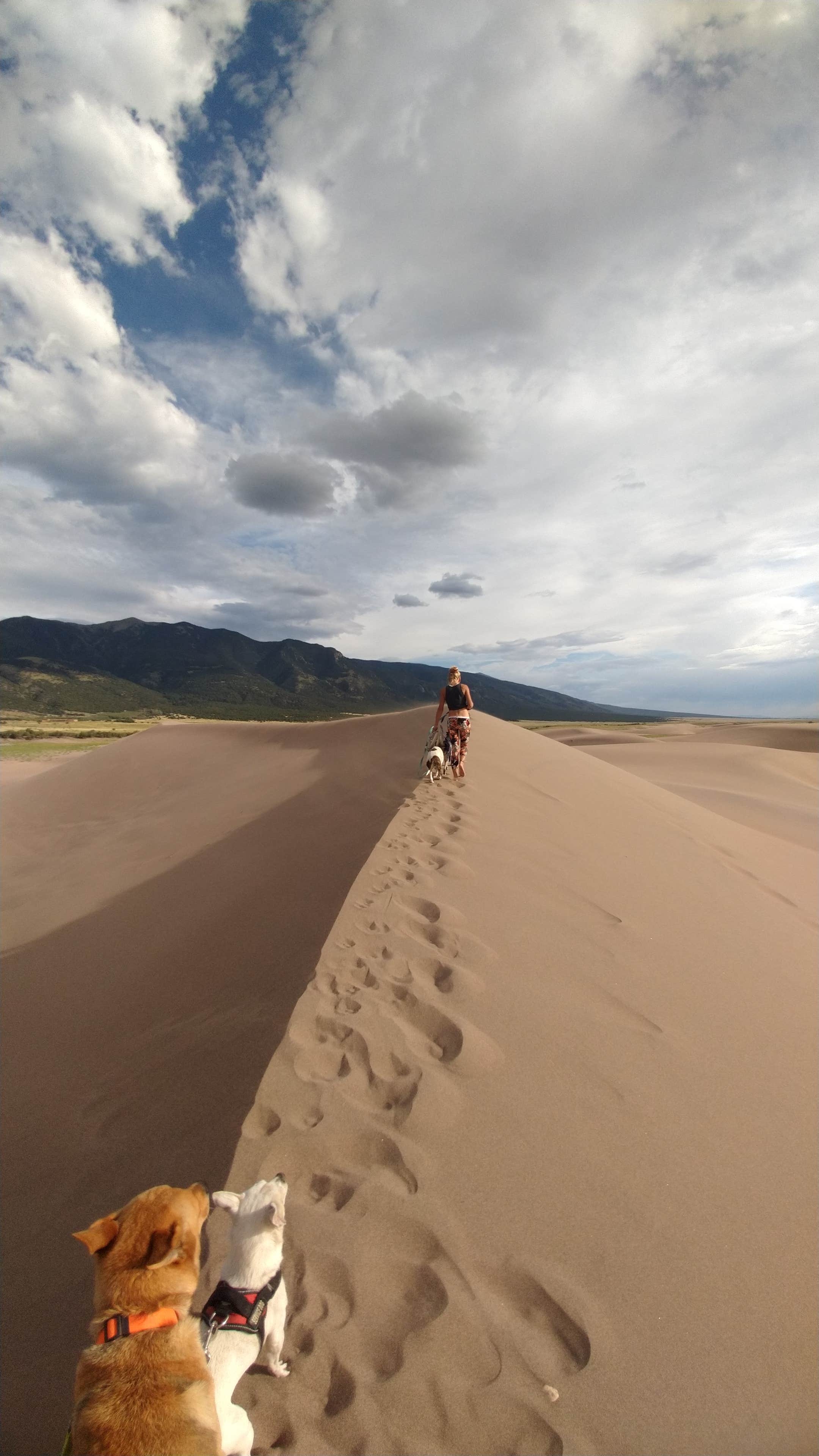 The Dunefield — Great Sand Dunes National Park Camping | Great Sand ...