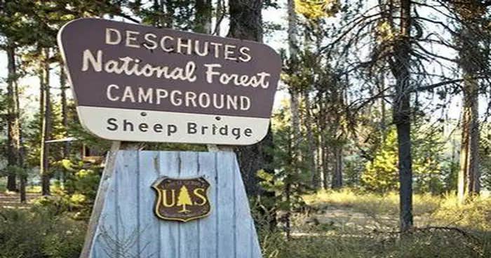 Camper-Submitted Photos of Sheep Bridge