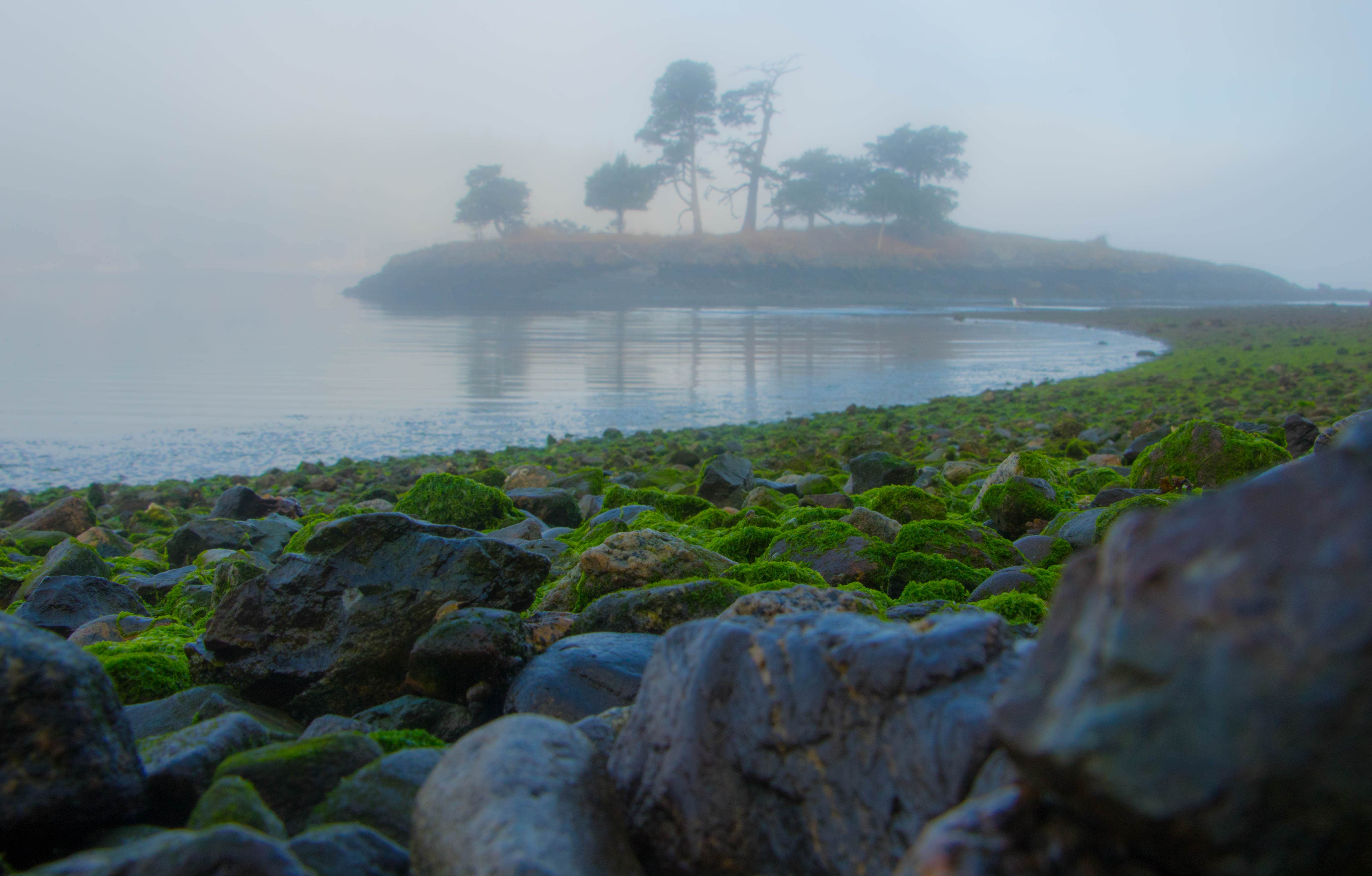 Turn Island State Park Campground | Friday Harbor, WA