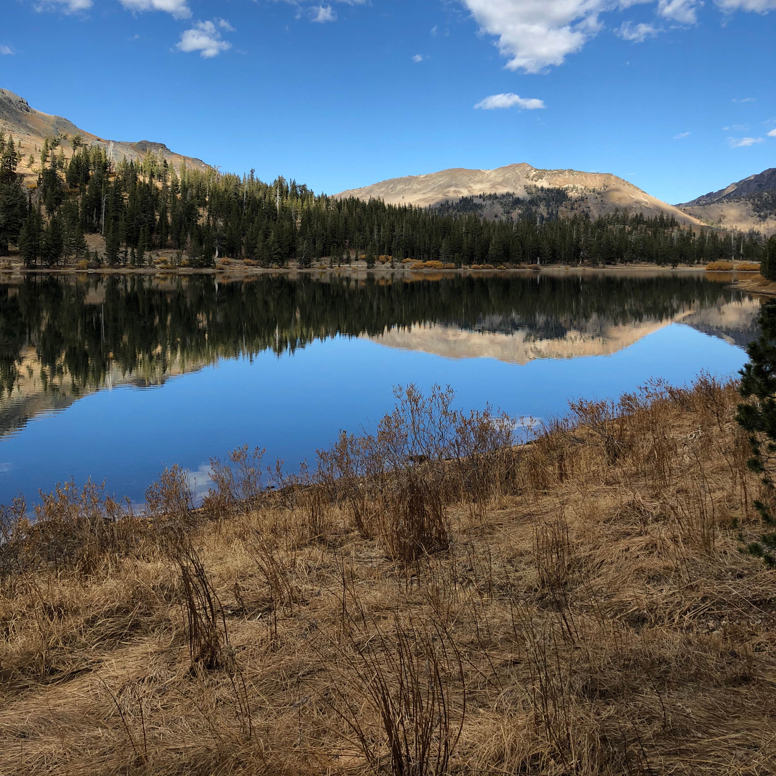 Highland Lakes Campground Camping | The Dyrt