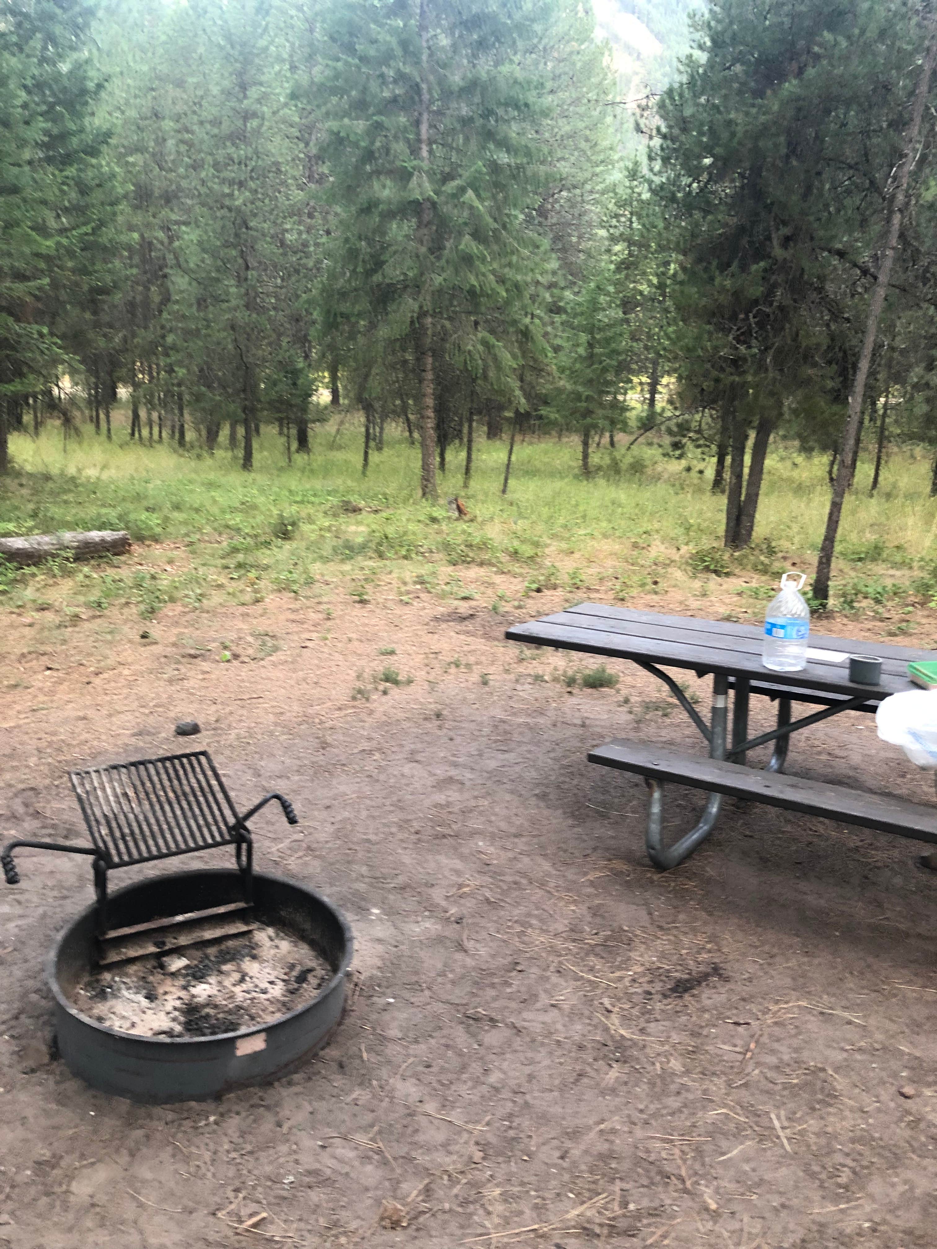 Thompson Falls | The Dyrt