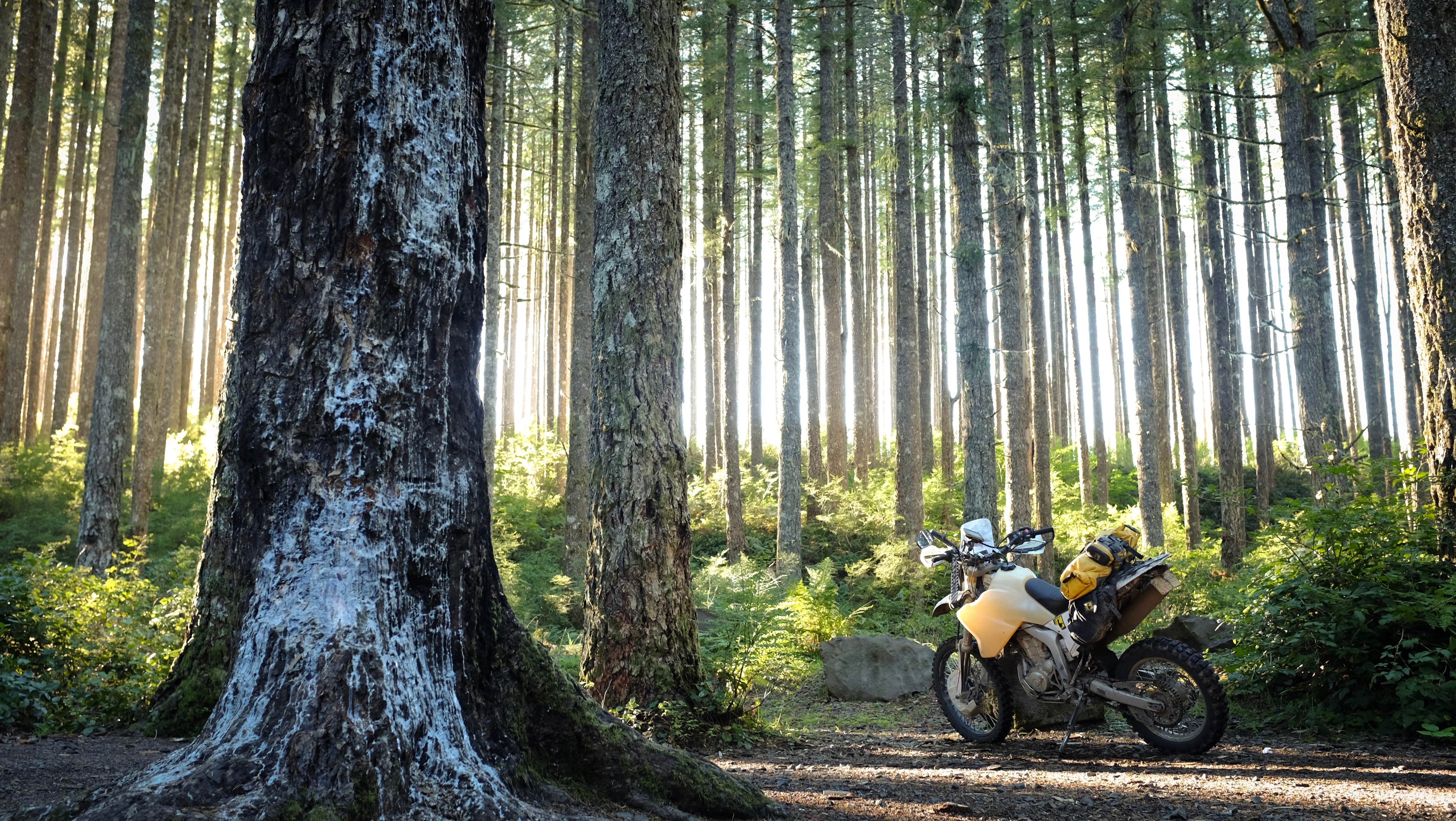 South Lake Camping | Beaver, OR