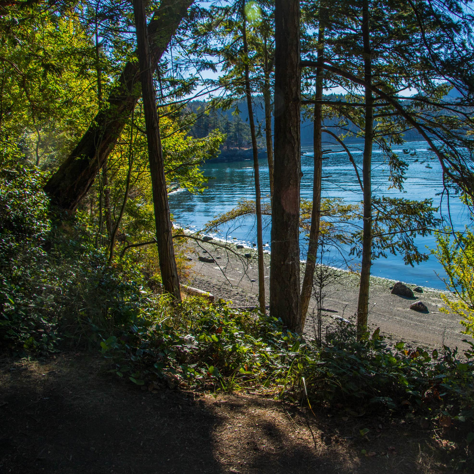 Obstruction Pass State Park Camping | The Dyrt