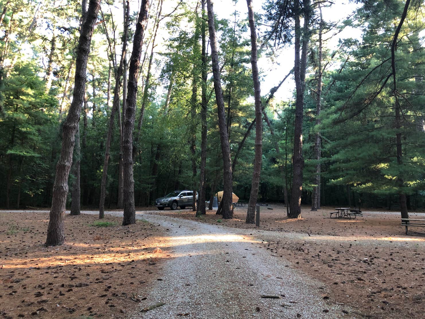 Pine Camp - Sand Ridge State Forest | The Dyrt