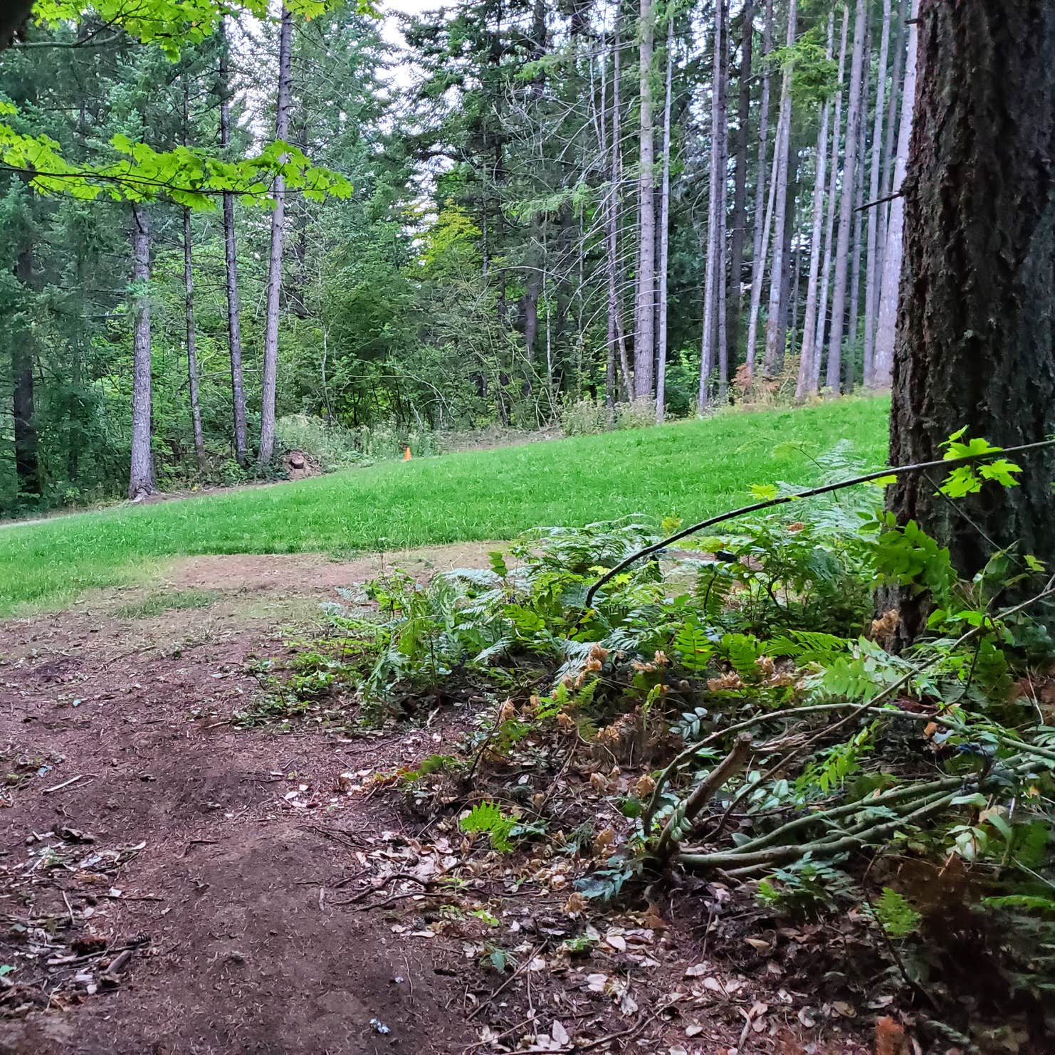 Timberlake Campground & RV Camping | The Dyrt