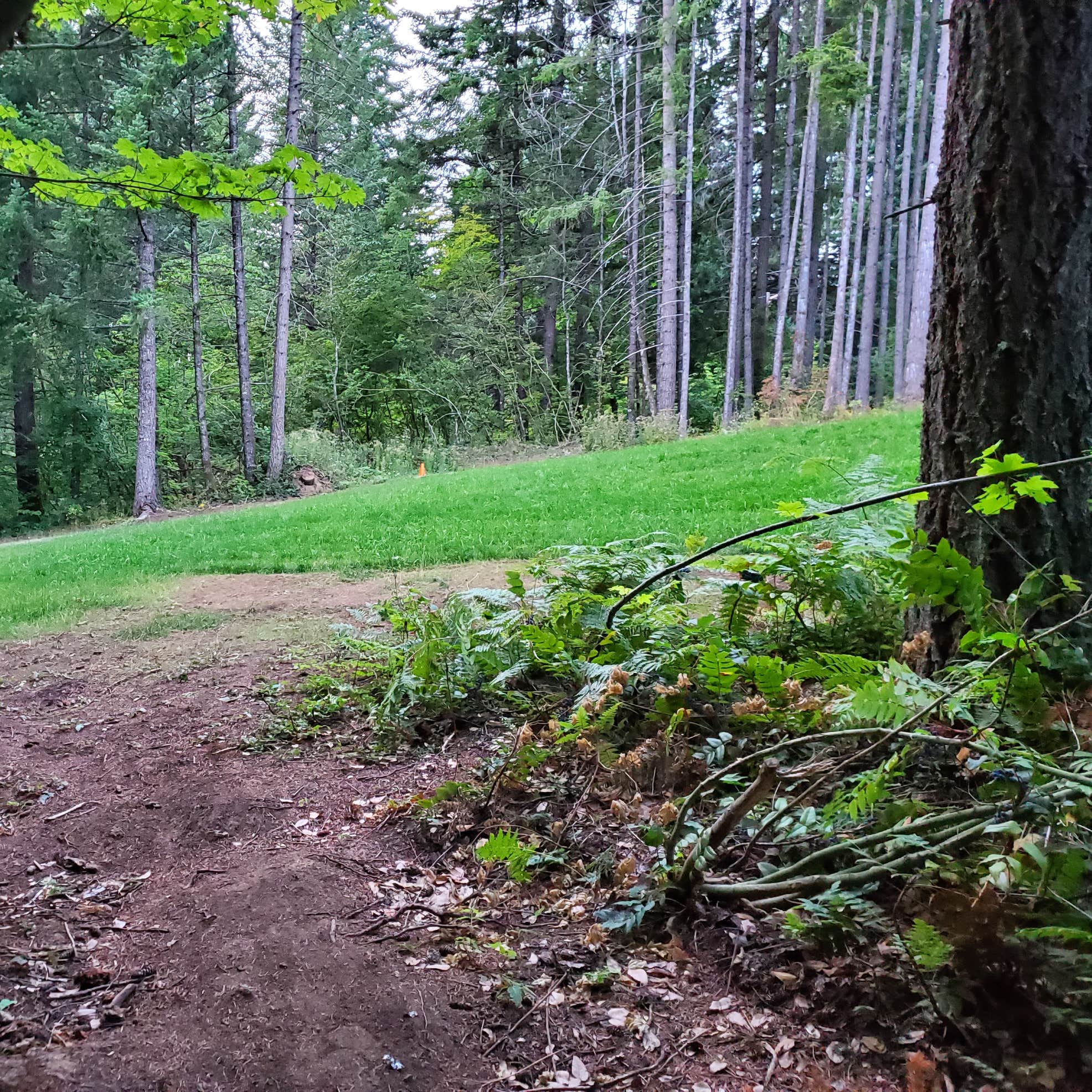 Timberlake Campground & RV Camping | The Dyrt