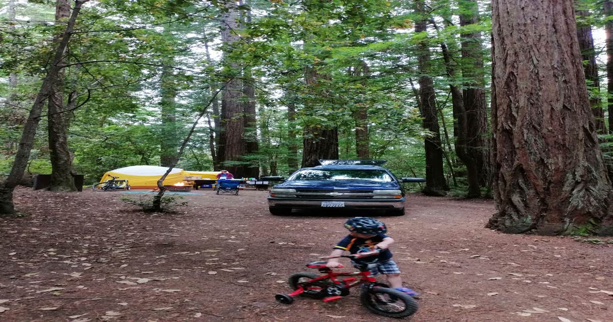 Ben Ries Campground — Butano State Park | Pescadero, CA