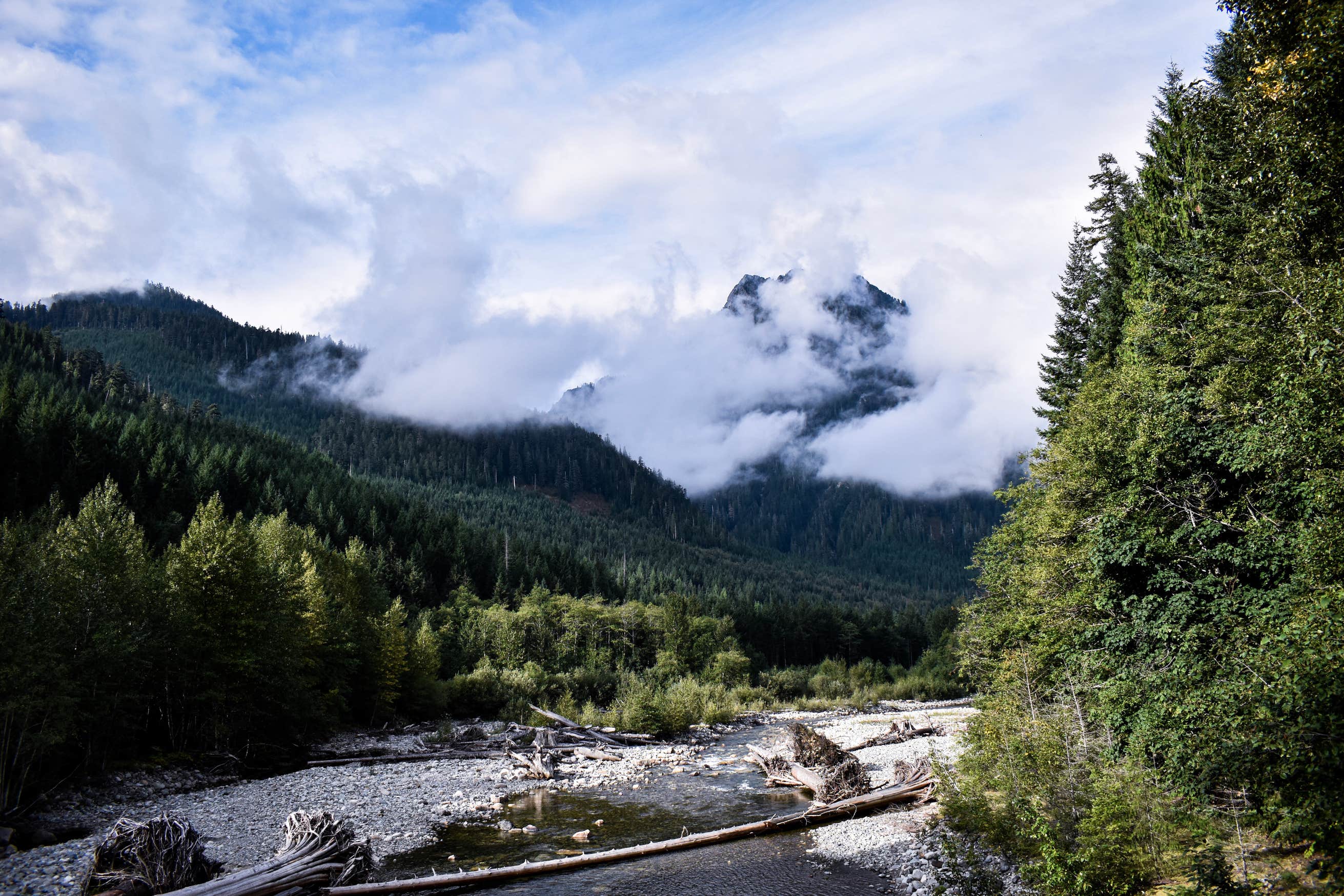 Troublesome Creek Campground Camping | The Dyrt