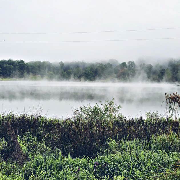 The Cove Campground | High View, West Virginia