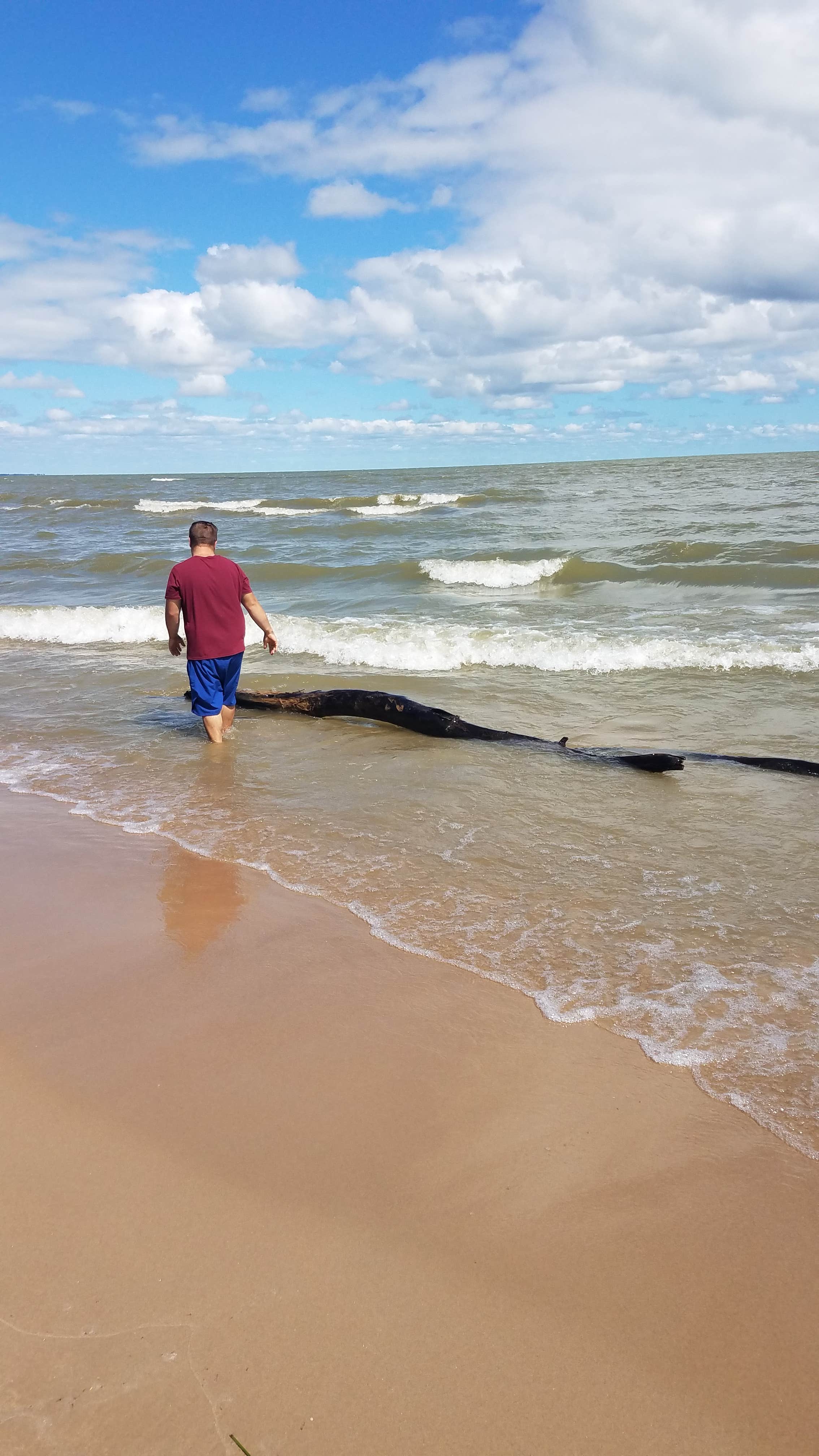 Bay City State Park Campground | Kawkawlin, Michigan