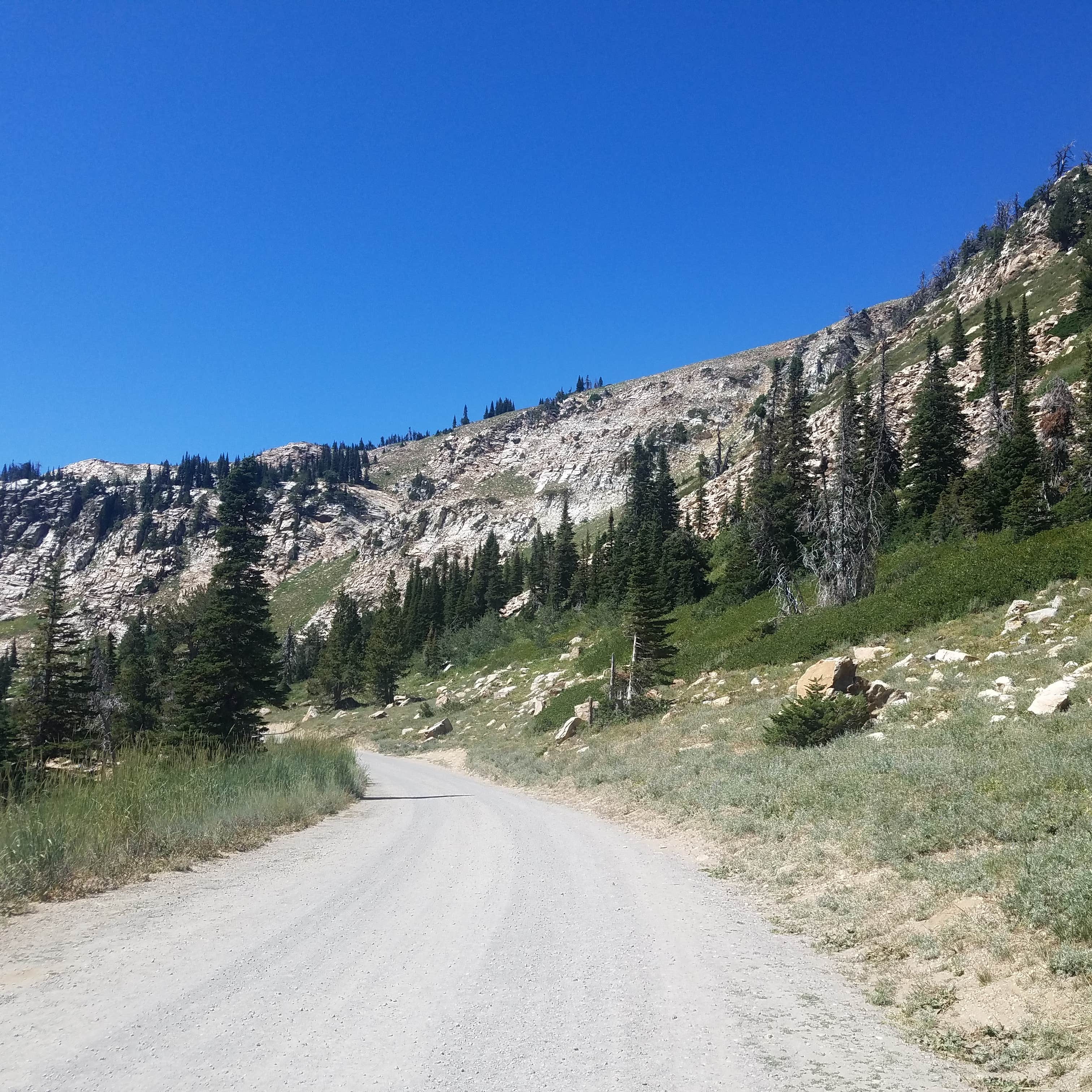 Lake Cleveland Campground West Side — Sawtooth National Forest | Albion ...