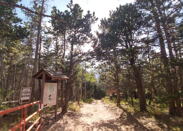 Medano Pass Primitive Road Camping | The Dyrt