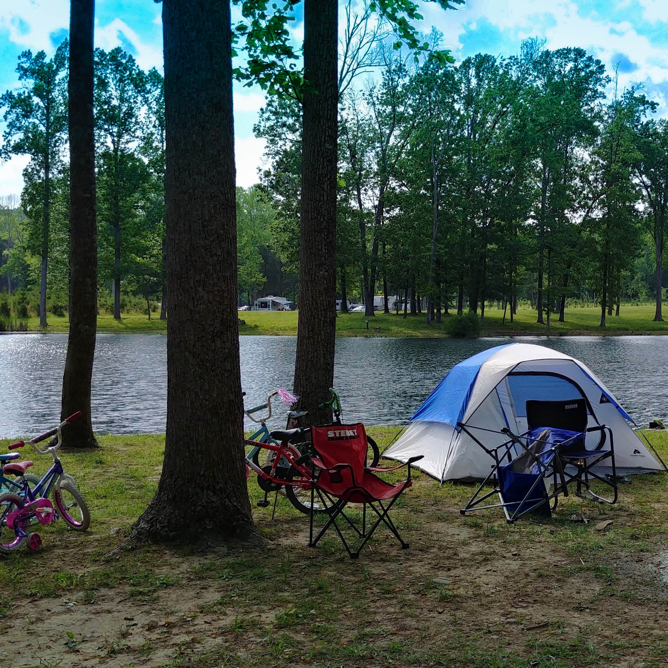 Sycamore Springs Park Camping | The Dyrt