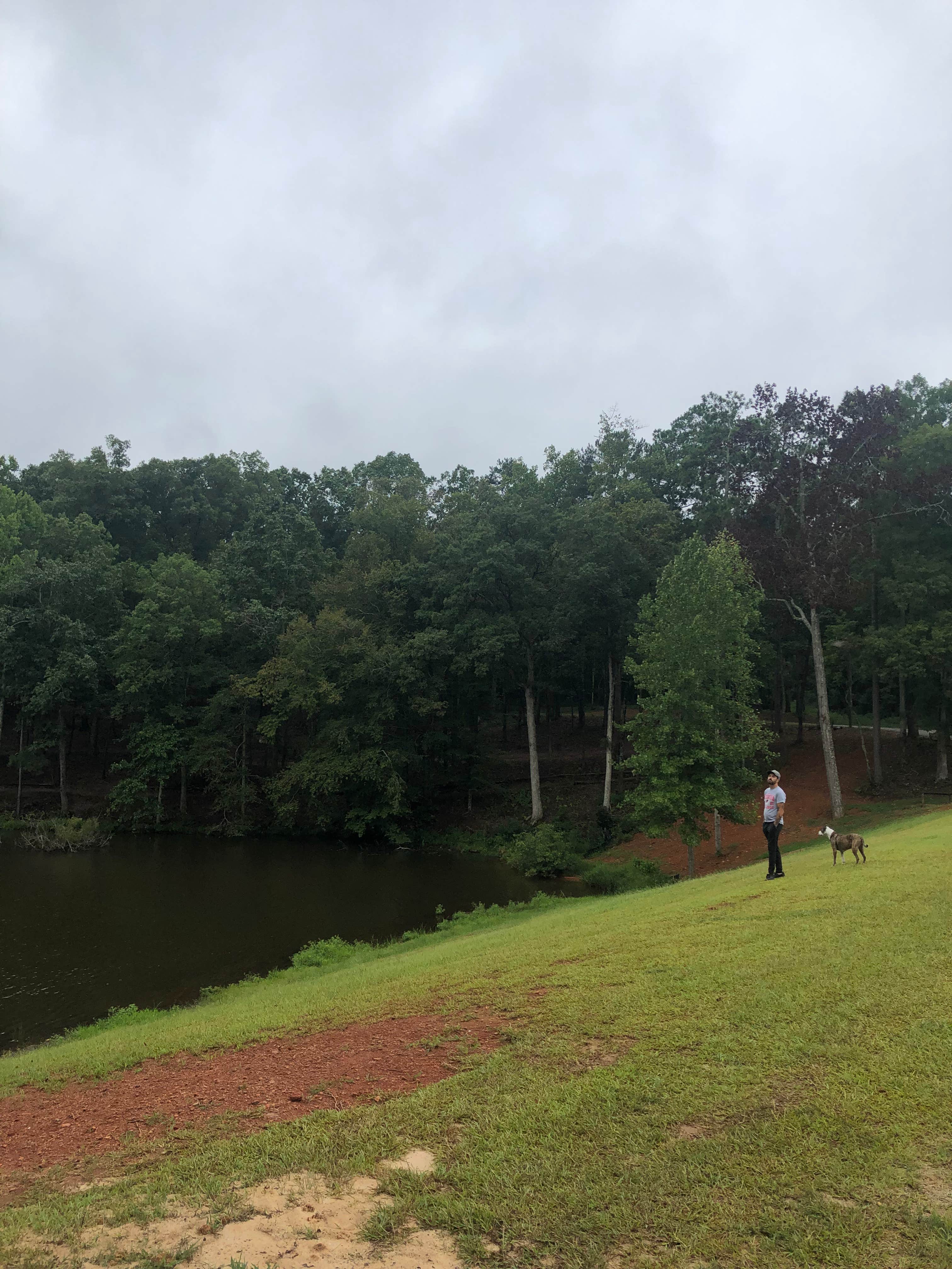 John Tanner Park (Carroll County Park) | The Dyrt