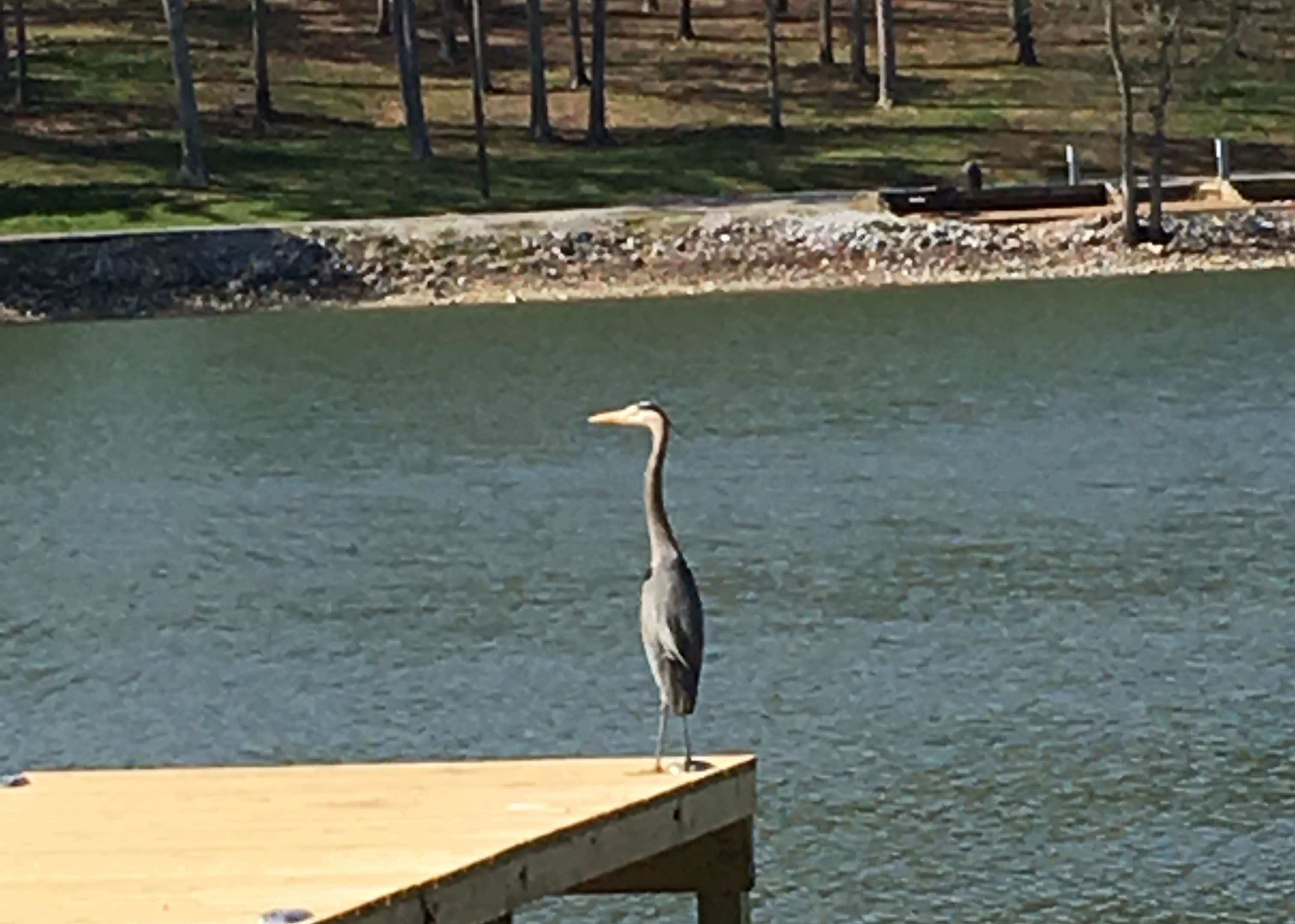 Chester Frost Park Camping | The Dyrt