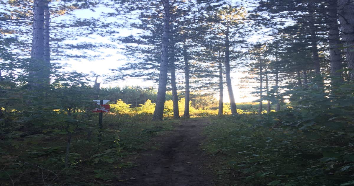 Huntersville Forest Landing Camping | Menahga, MN