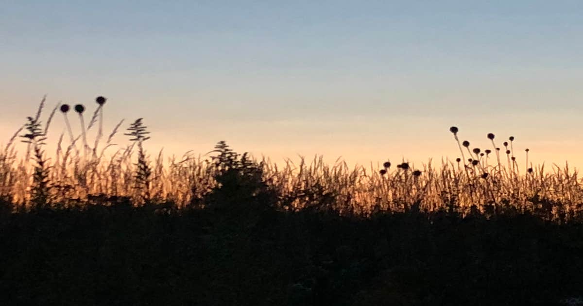 Camper-Submitted Photos of Timber Lake Resort