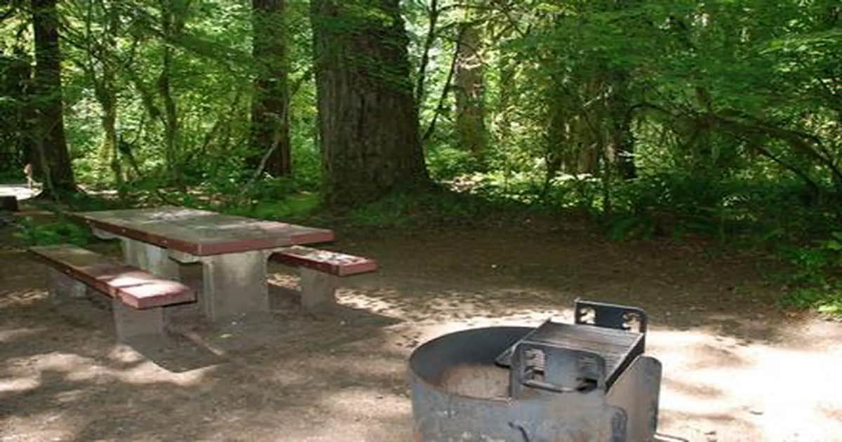 Paradise In Oregon Camping | Mckenzie Bridge, Oregon