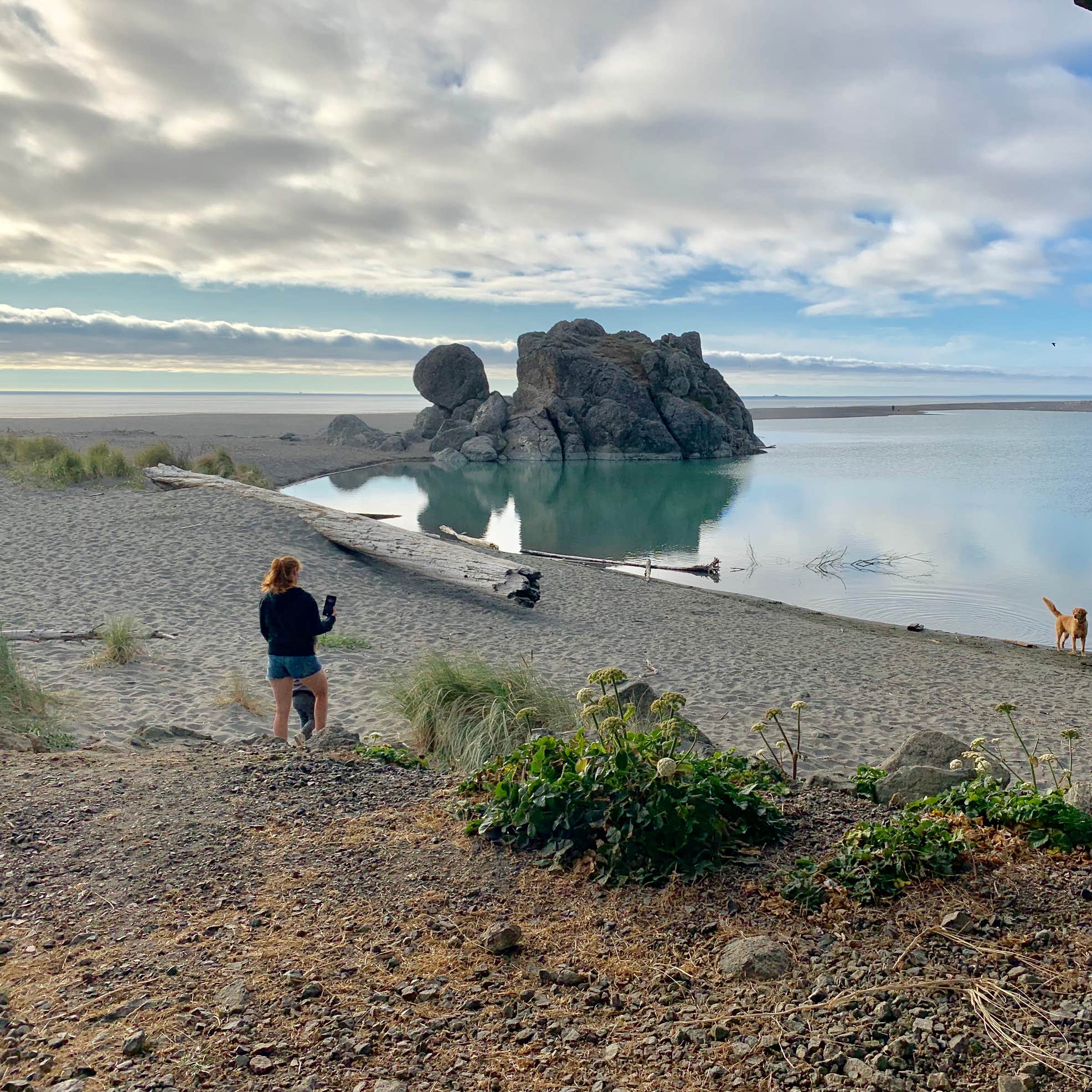 Turtle Rock RV Resort Camping | The Dyrt