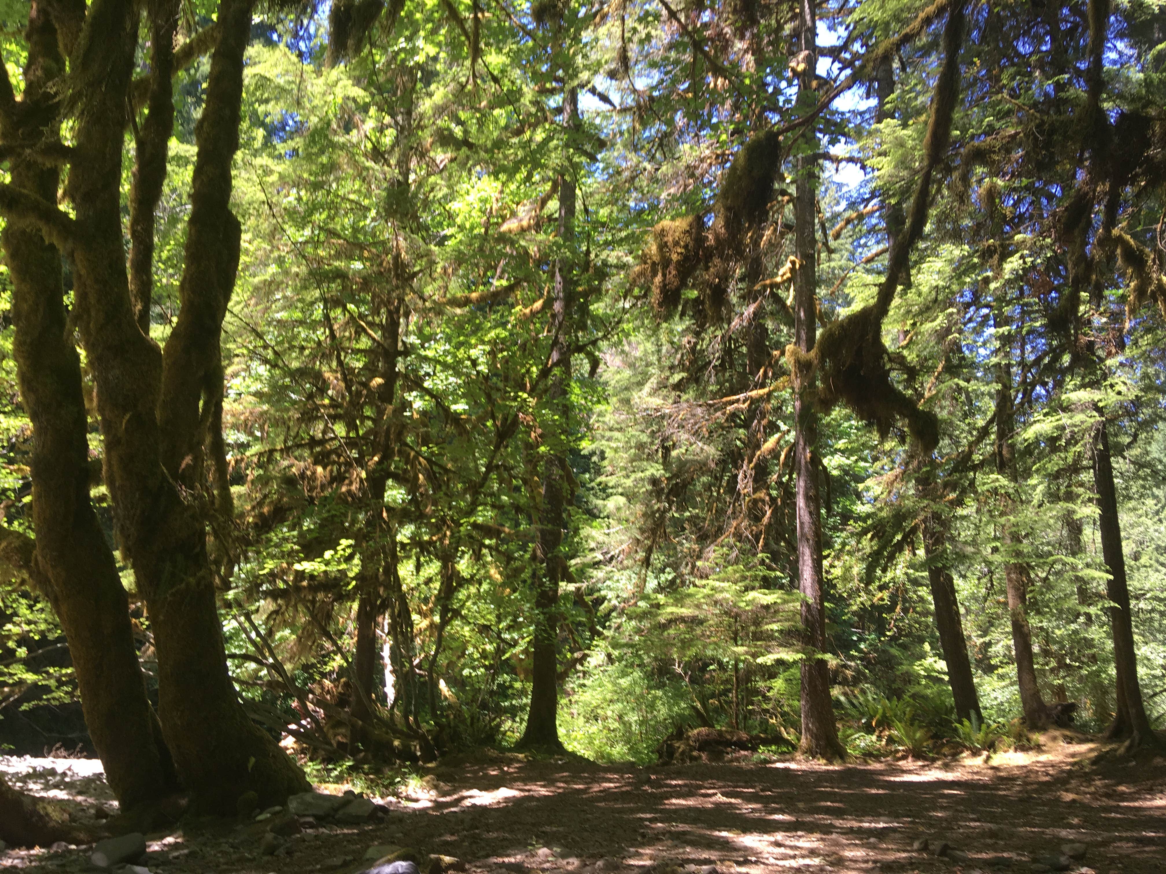 House Rock Campground | Cascadia, OR