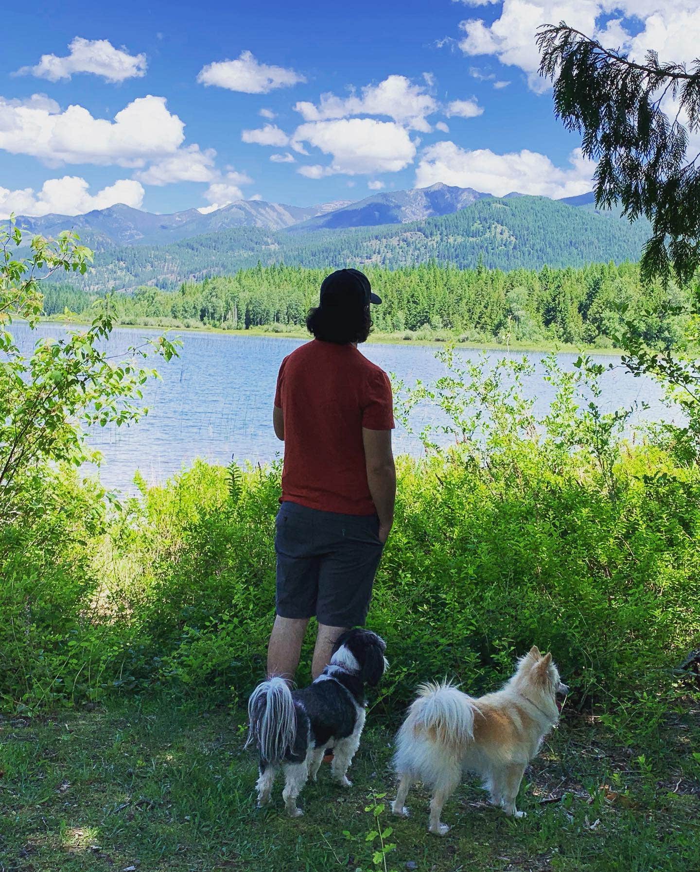 Bad Medicine Campground Camping | The Dyrt
