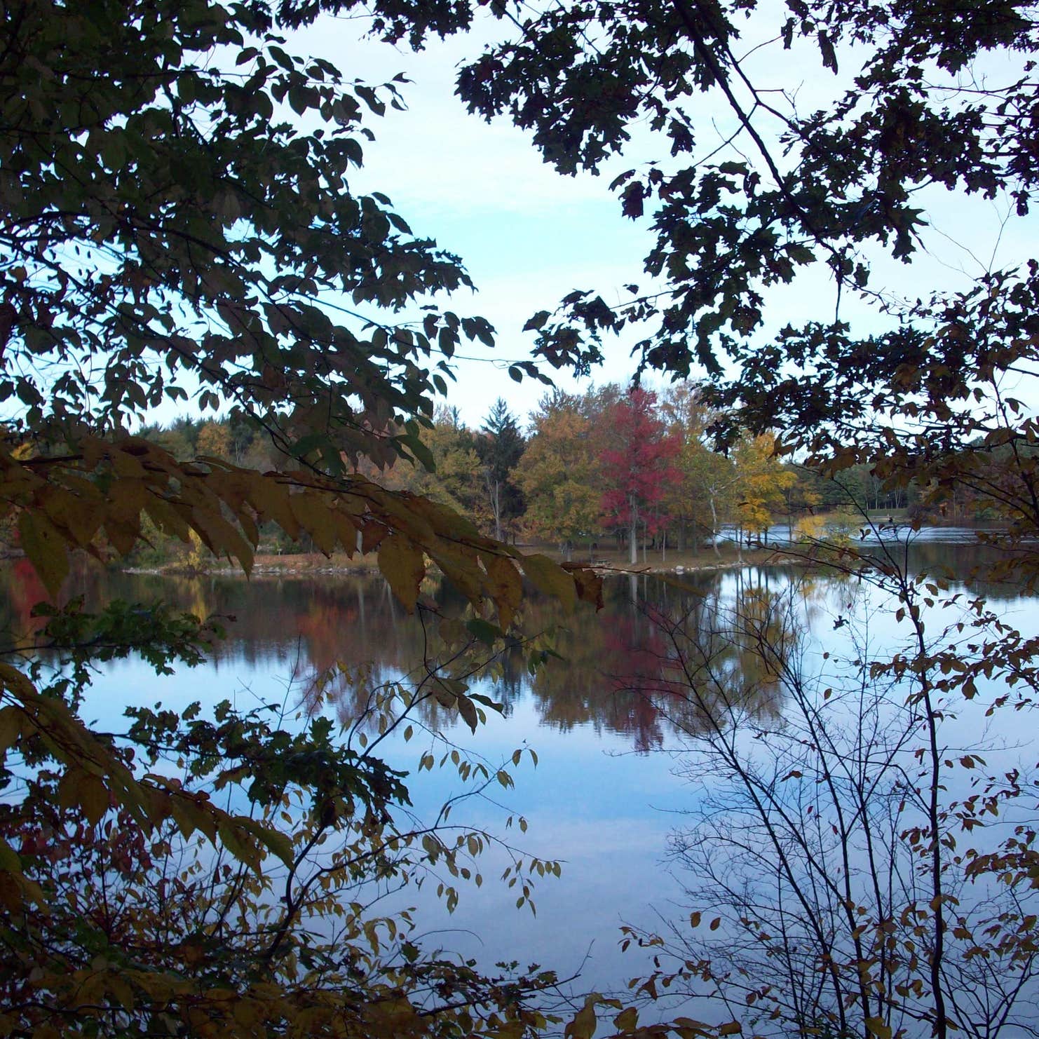 Findley State Park Camping | The Dyrt