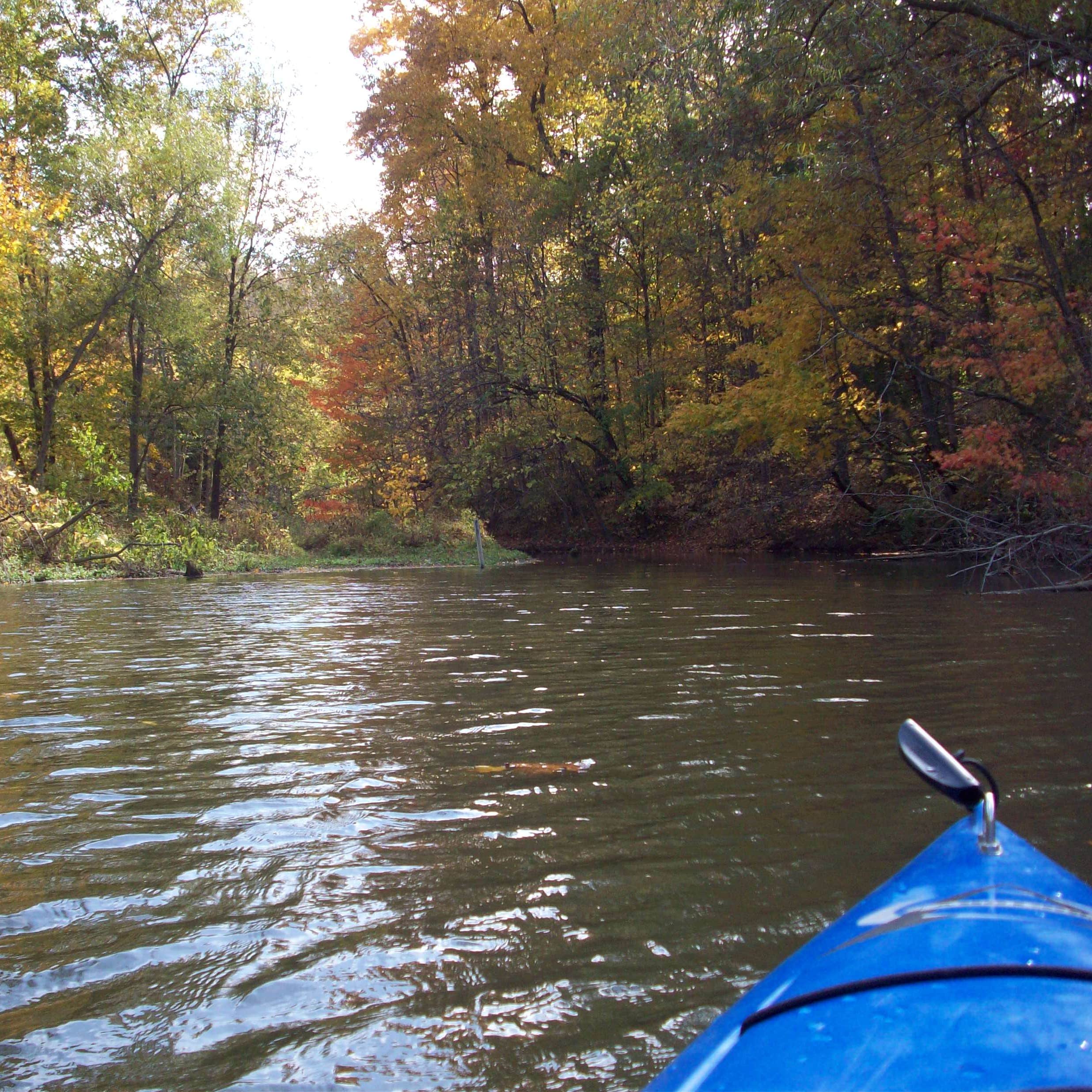 Findley State Park Camping | The Dyrt