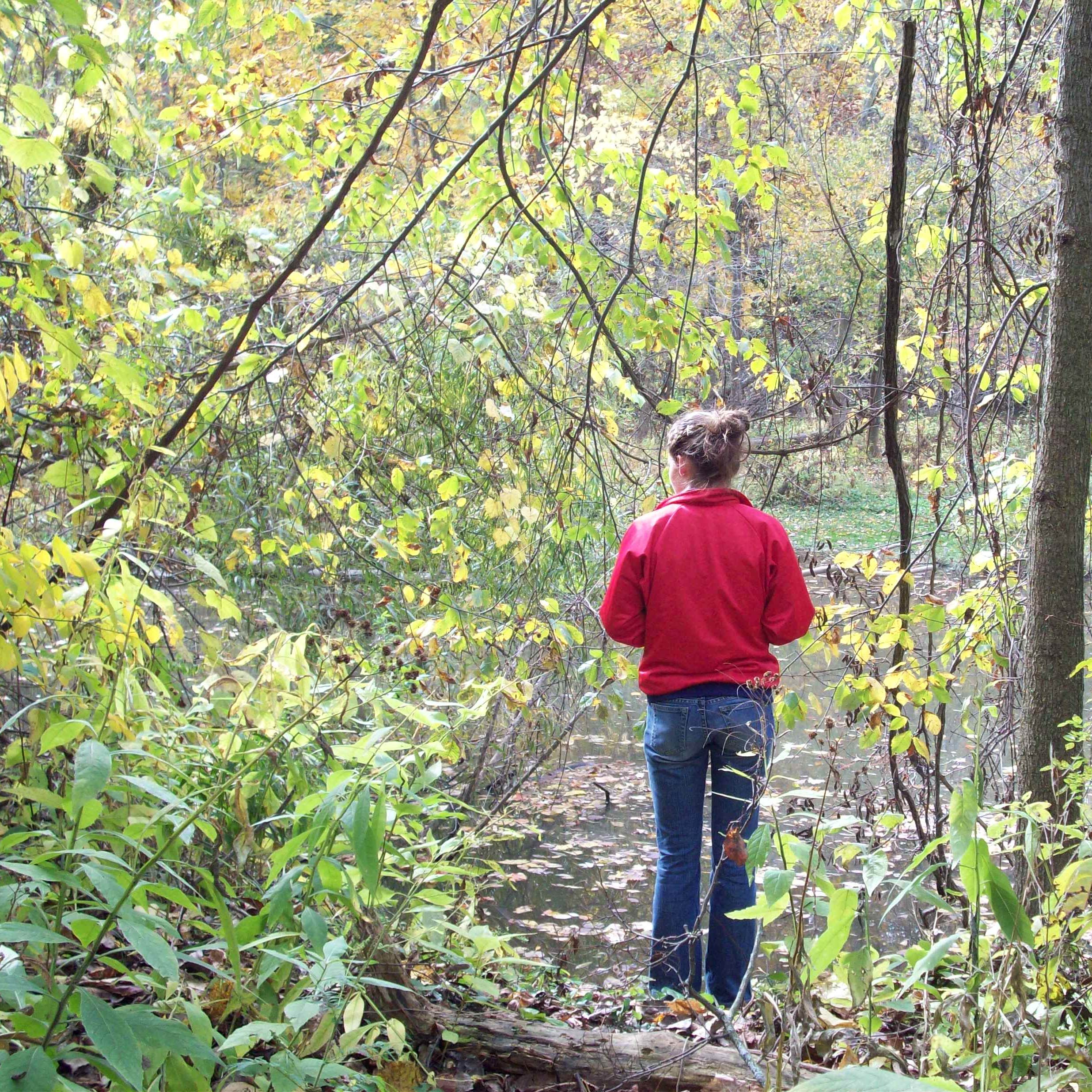 Findley State Park Camping | The Dyrt