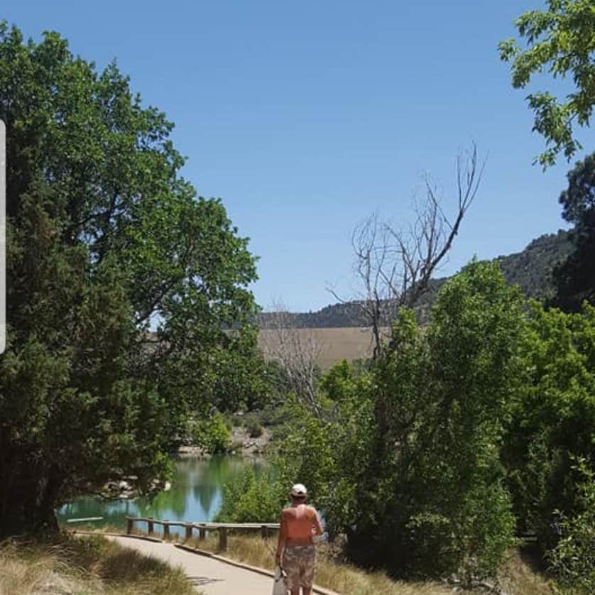 Elk Ridge Campground Camping | Ridgway, CO | The Dyrt