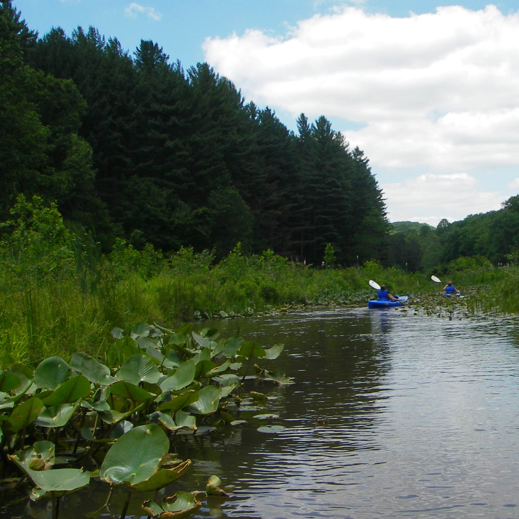 Lake Hope Camping | The Dyrt