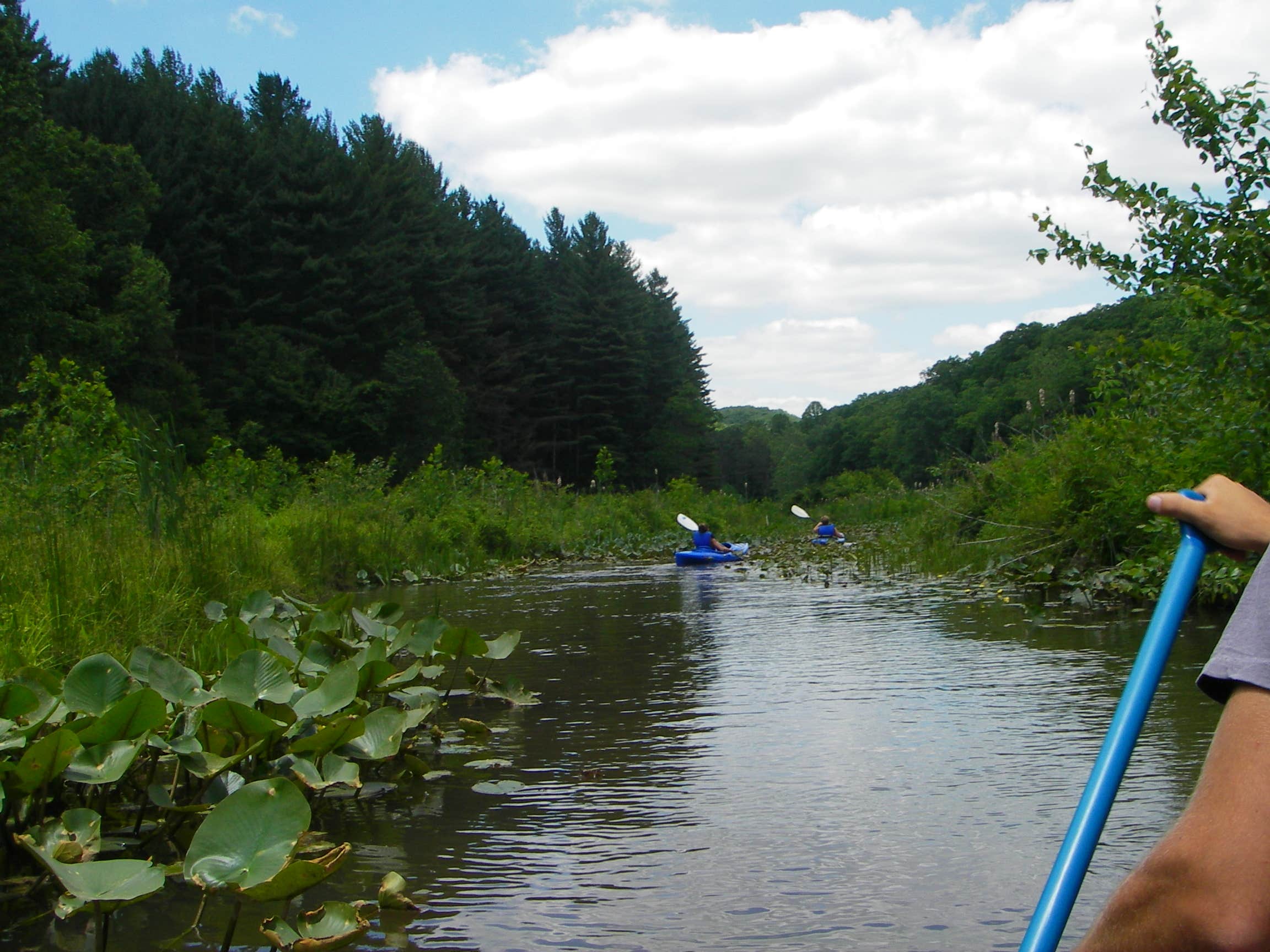 Lake Hope State Park Campground | McArthur, OH