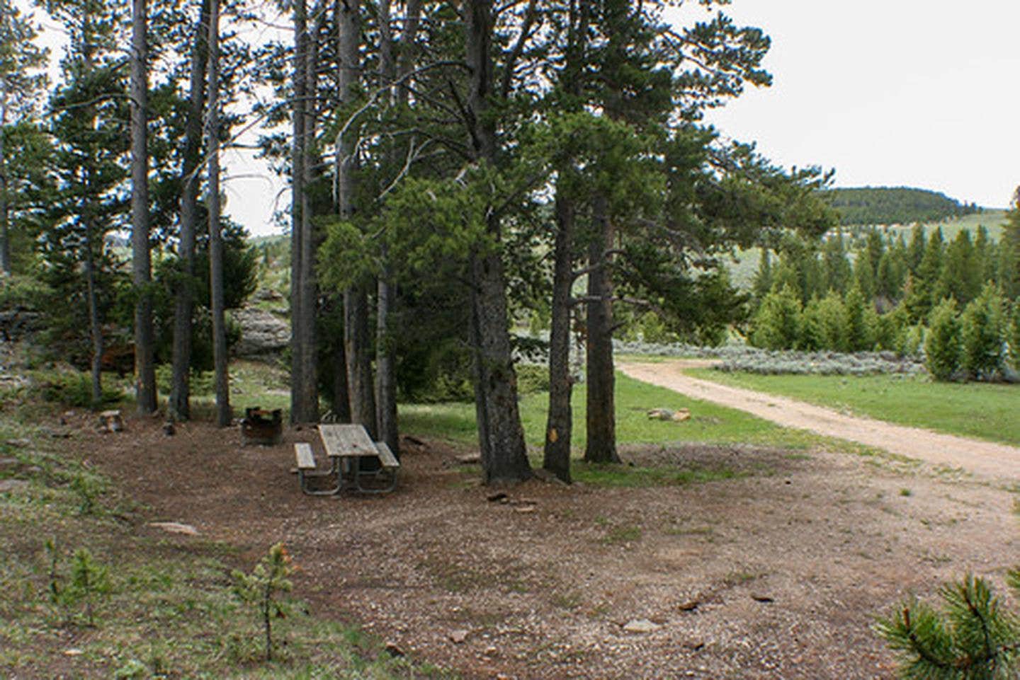 Grave Springs Campground Camping | The Dyrt