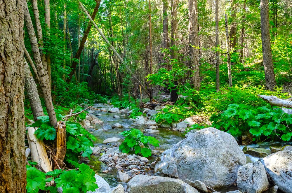 Thousand Trails Yosemite Lakes Camping | Eastman Lake, California