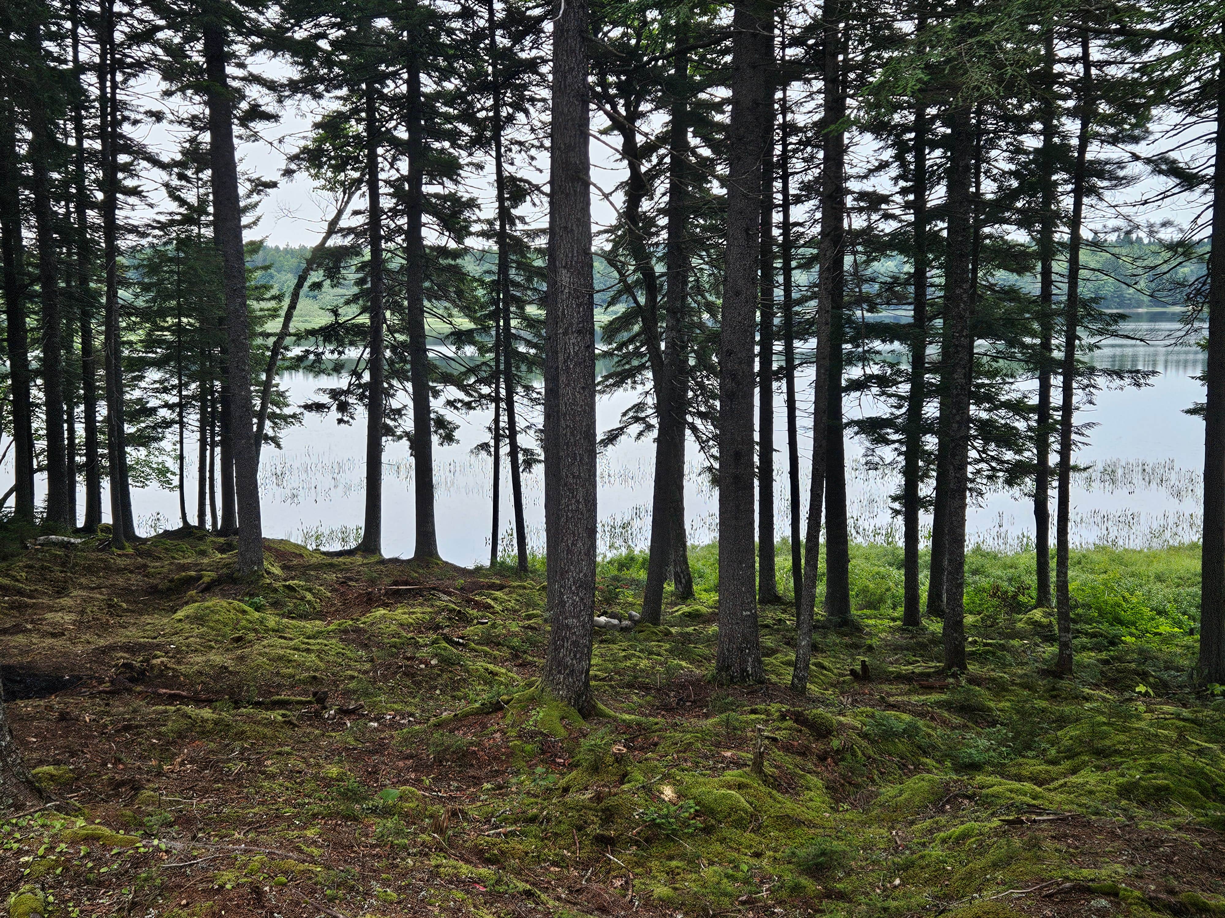 Conor's Landing Camping | Whiting, Maine