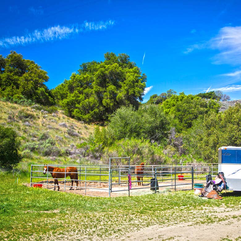Rancho Oso RV & Camping Resort Camping | The Dyrt