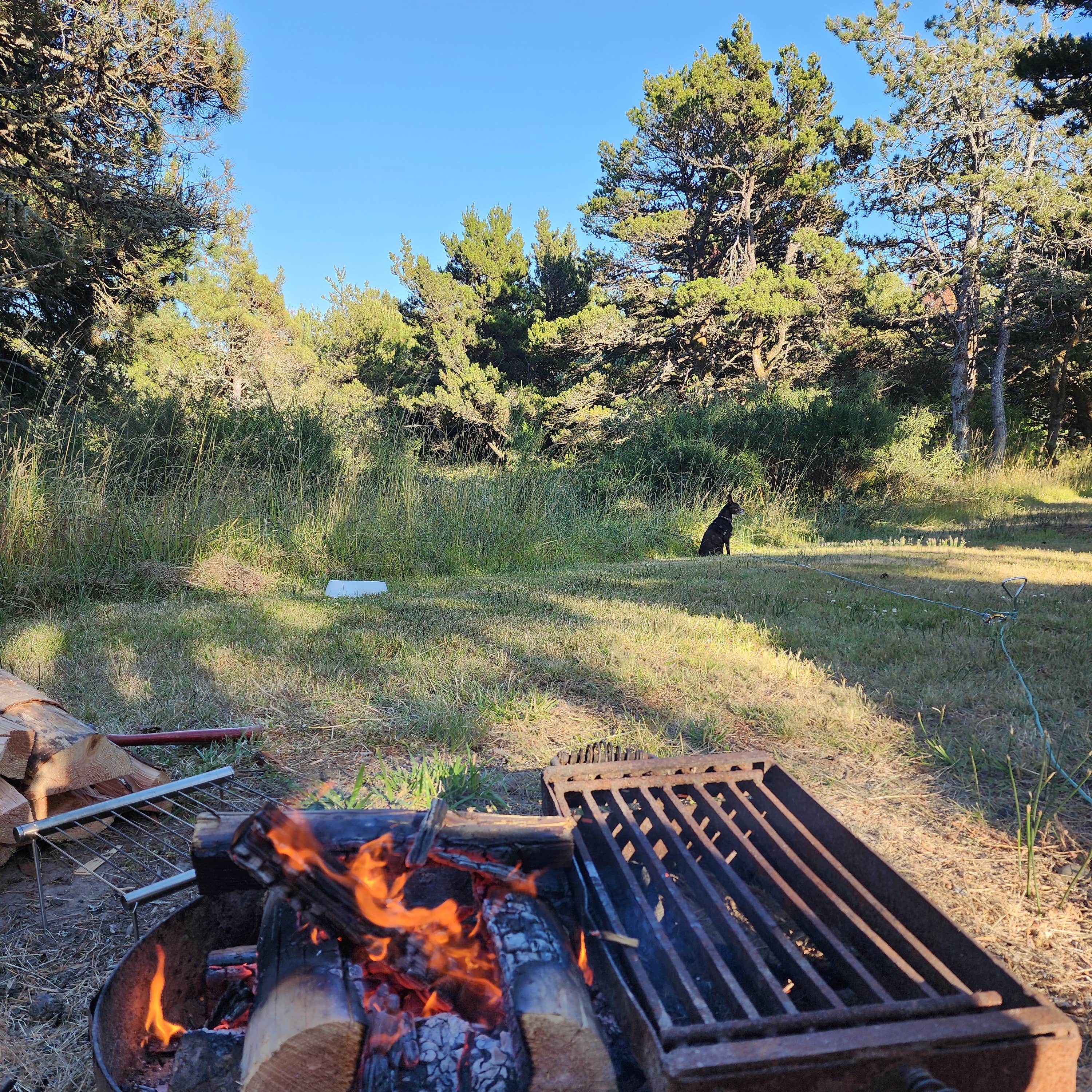 Nehalem Bay State Park Campground | Manzanita, Oregon