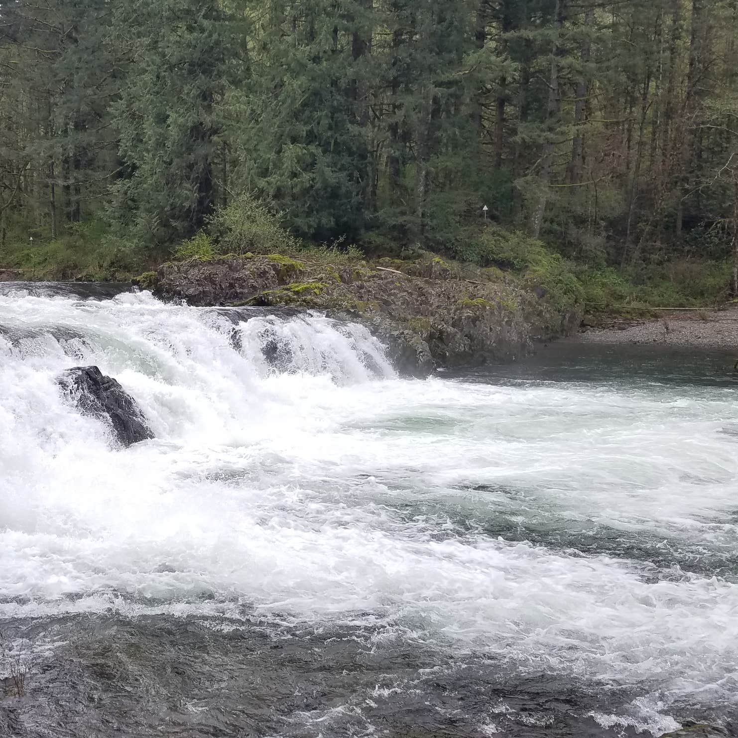 Lewis River Campground Community of Christ | Heisson, Washington