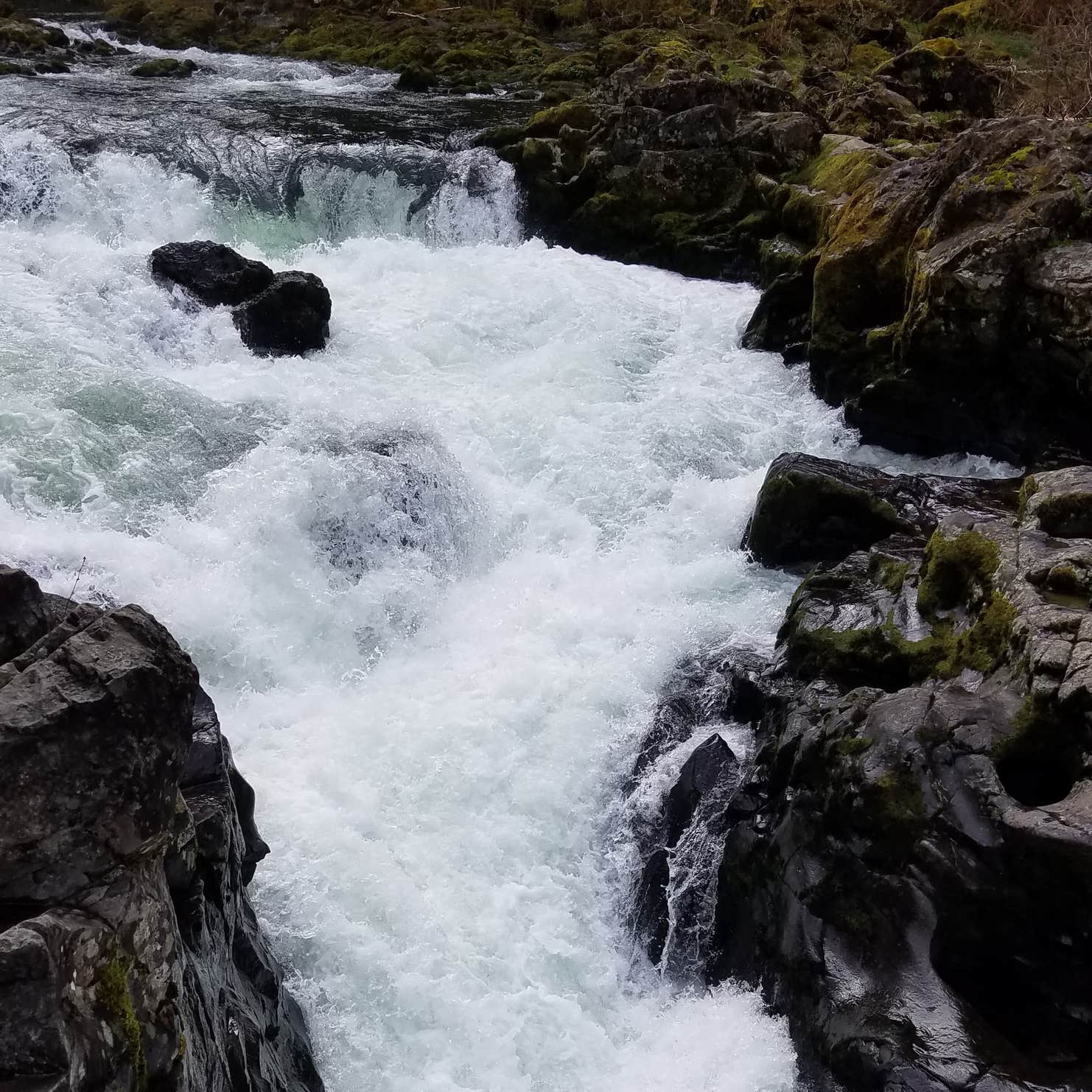 Lewis River Campground Community of Christ | Heisson, WA
