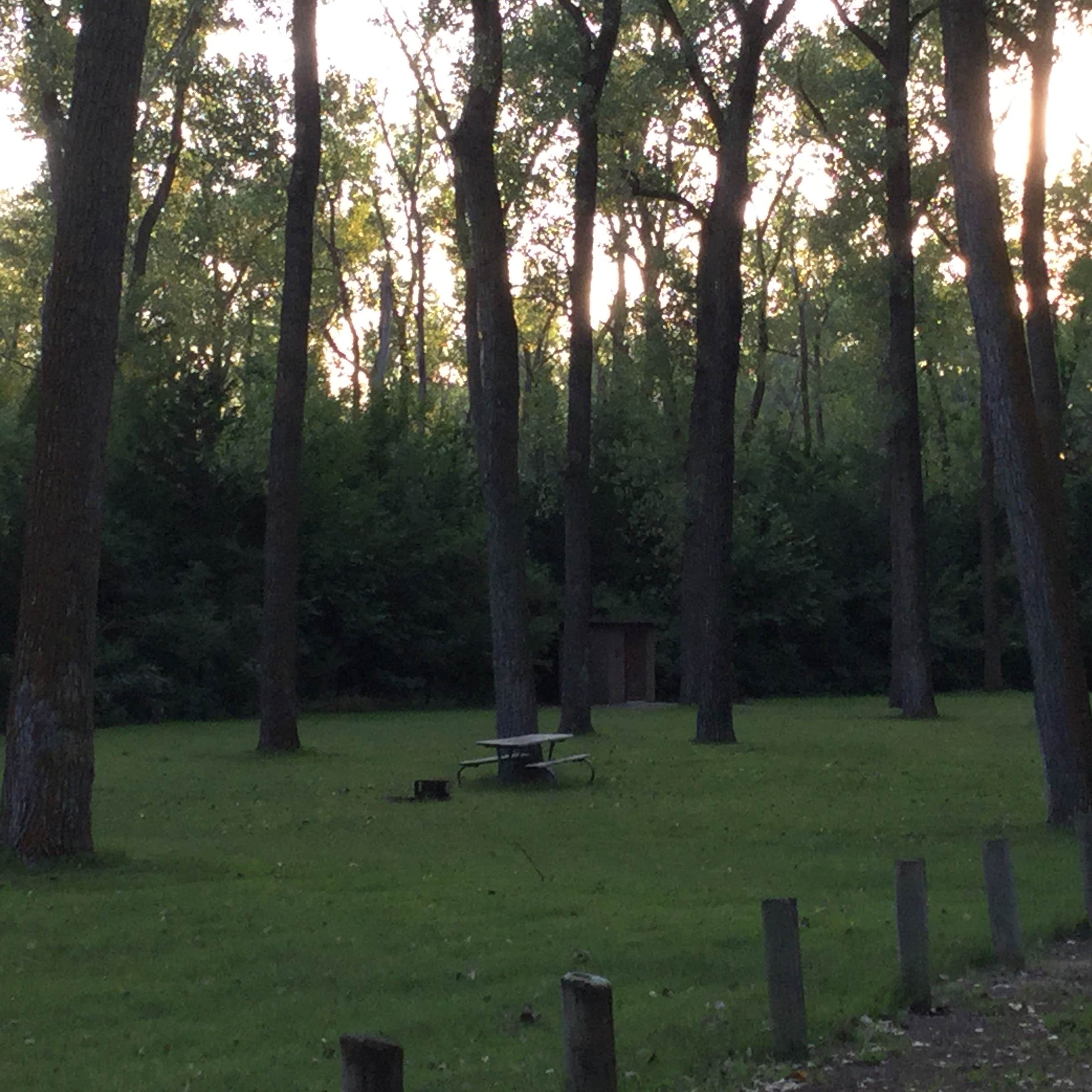 Clay County Park Camping | The Dyrt