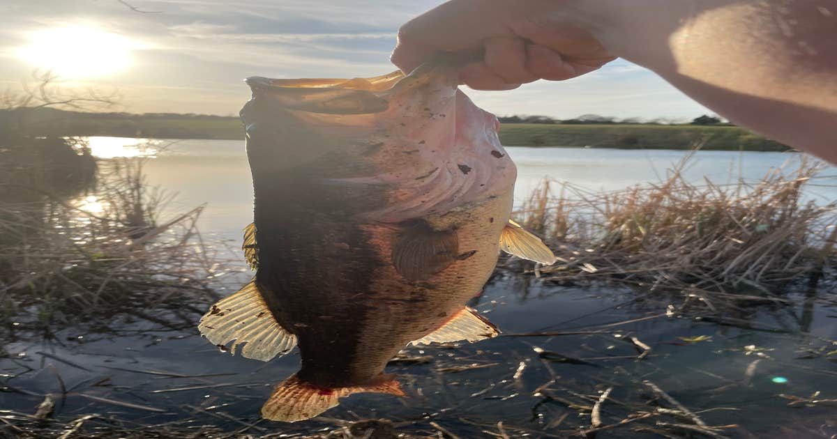 Hideaway Lake & RV Park | Heavener, Oklahoma
