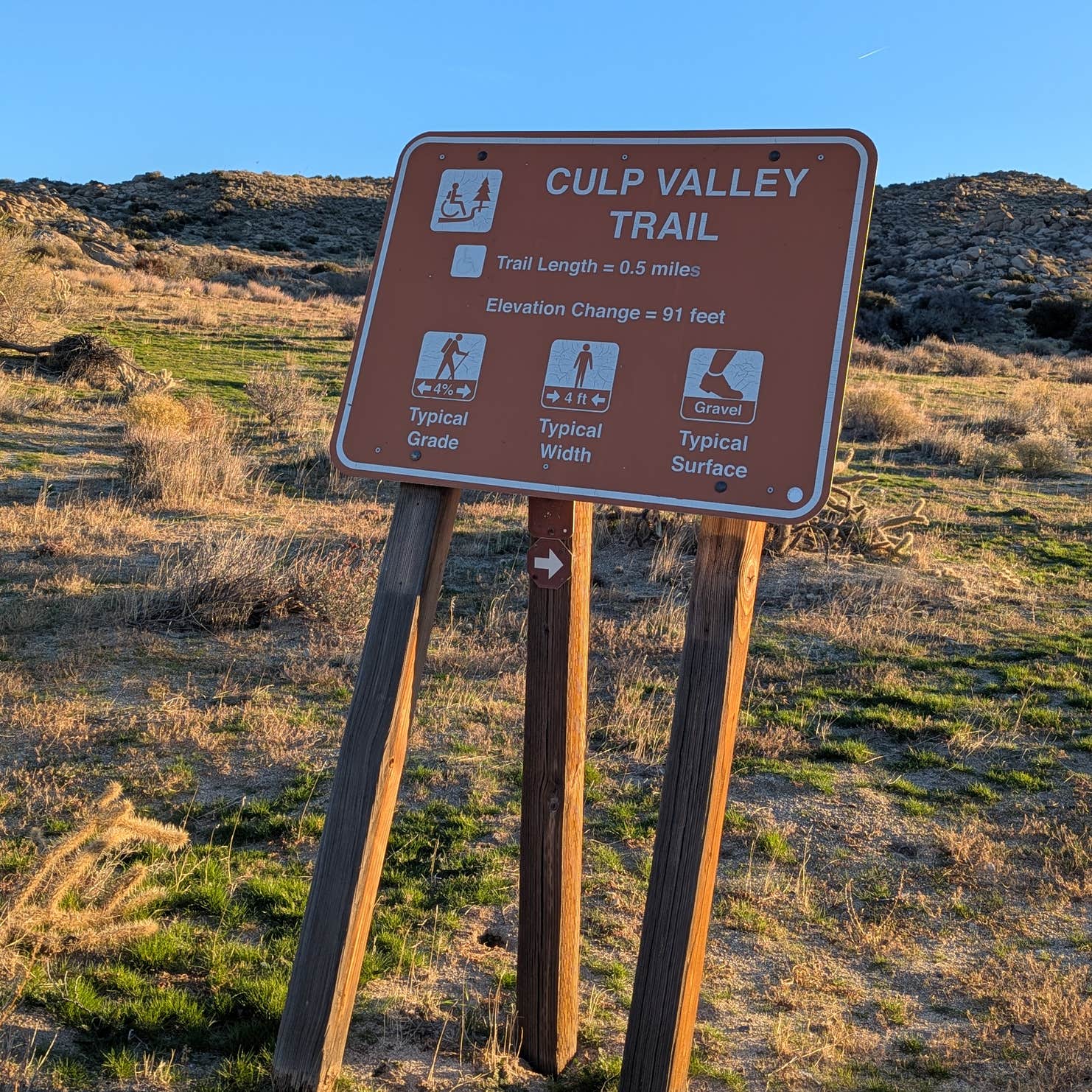 Culp Valley Primitive Campground — Anza-Borrego Desert State Park ...
