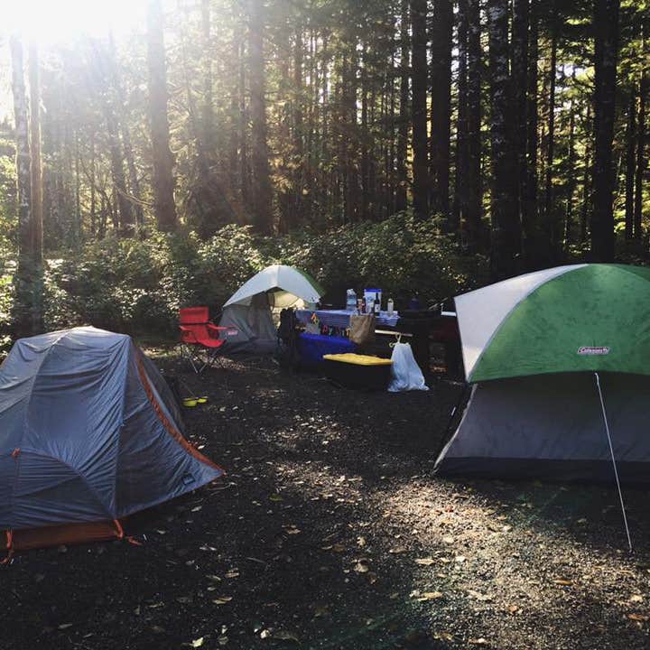 Coho Campground Camping | The Dyrt