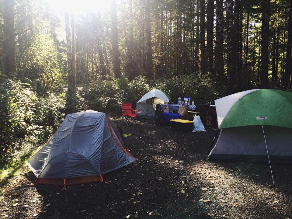Coho Campground | Quinault, Washington