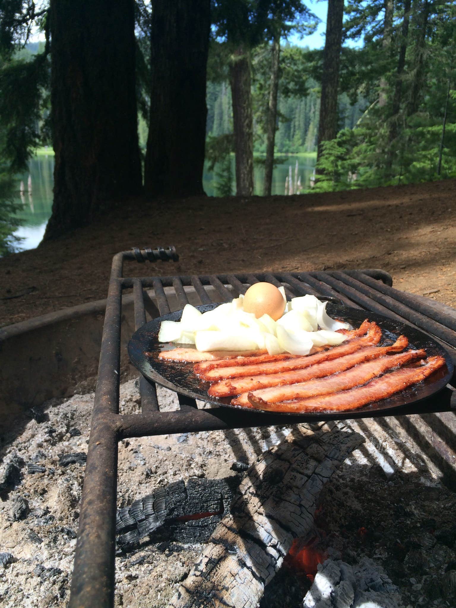 Goose Lake Campground | Trout Lake, Washington